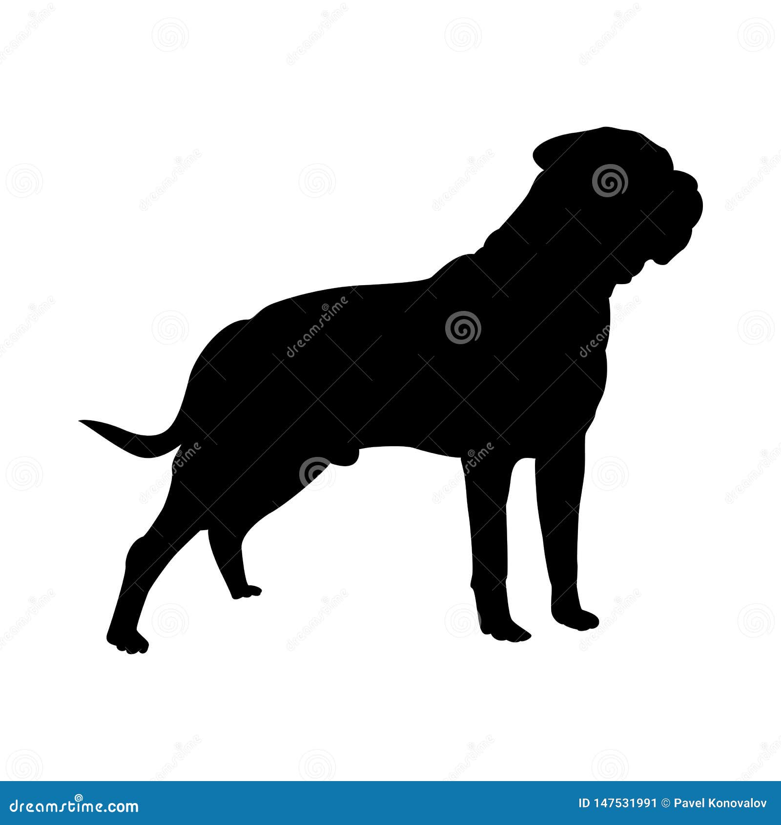 Bullmastiff Dog Silhouette stock vector. Illustration of purebred ...