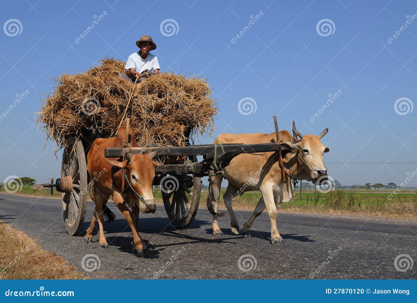 Bullock Cart 02 editorial image. Image of transport, blue - 27870120
