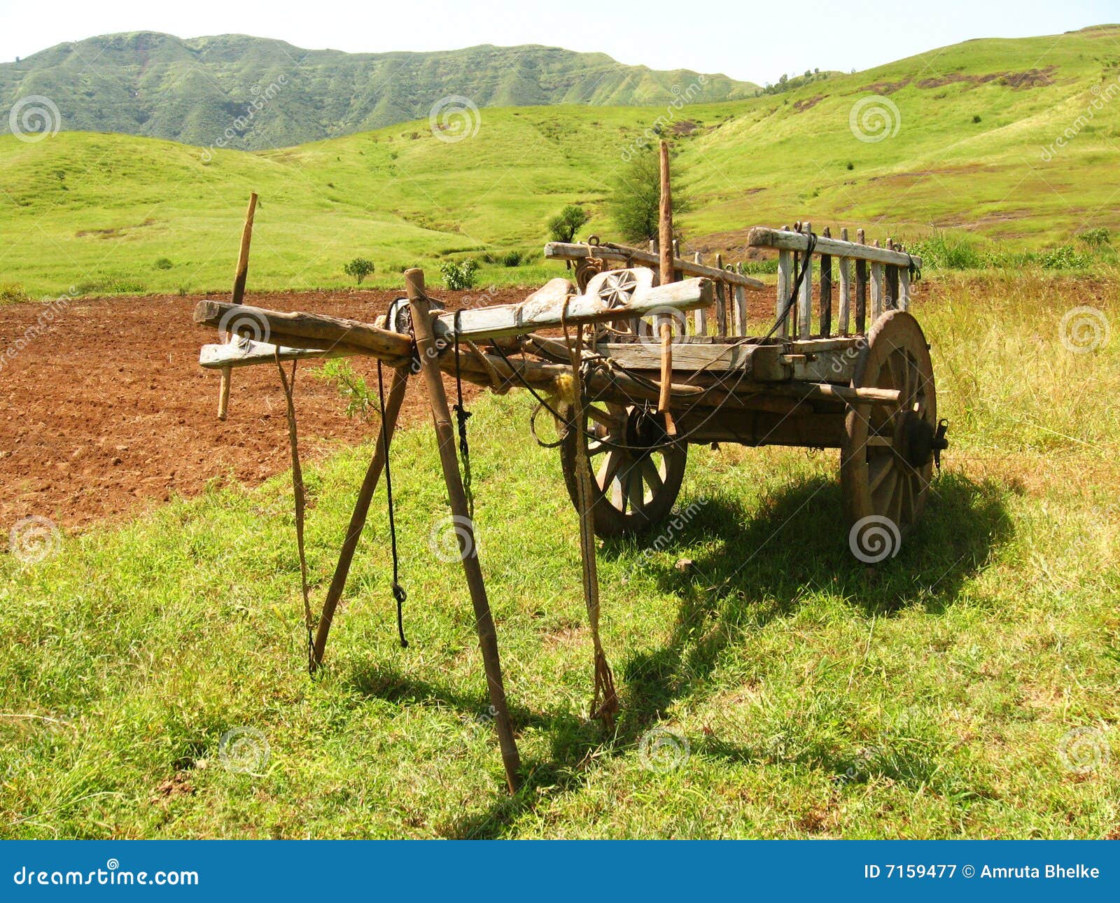 Bullock Cart stock image. Image of field, traditional - 7159477