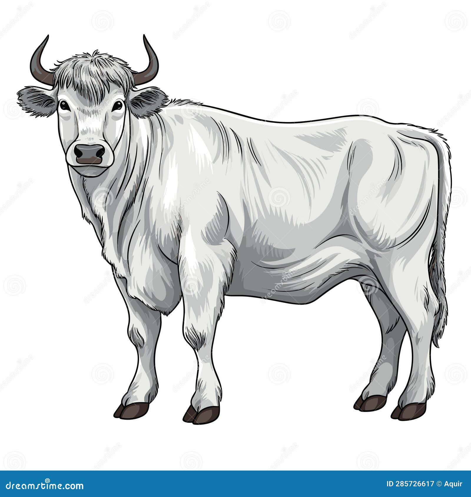 Bullock Hand-drawn Illustration. Bullock. Vector Doodle Style Cartoon ...