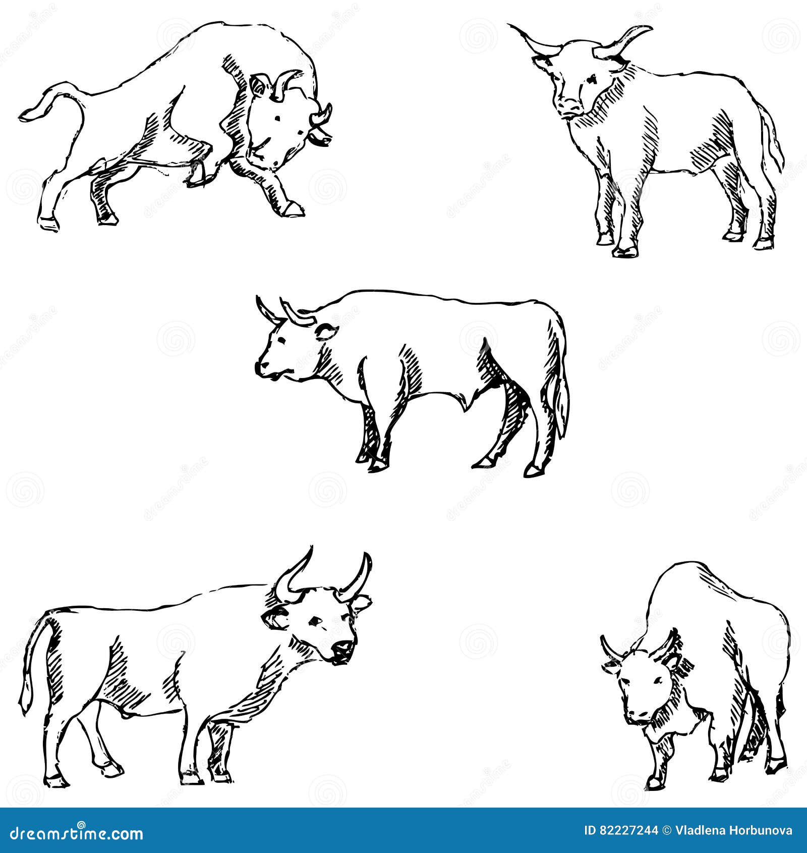 Bulls. Sketch Pencil. Drawing by Hand. Vector Stock Vector ...