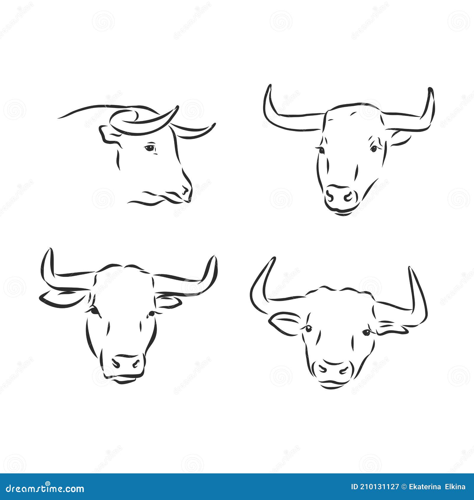Bulls Vector, Hand Draw Sketch. Bull, Vector Sketch Illustration Stock ...