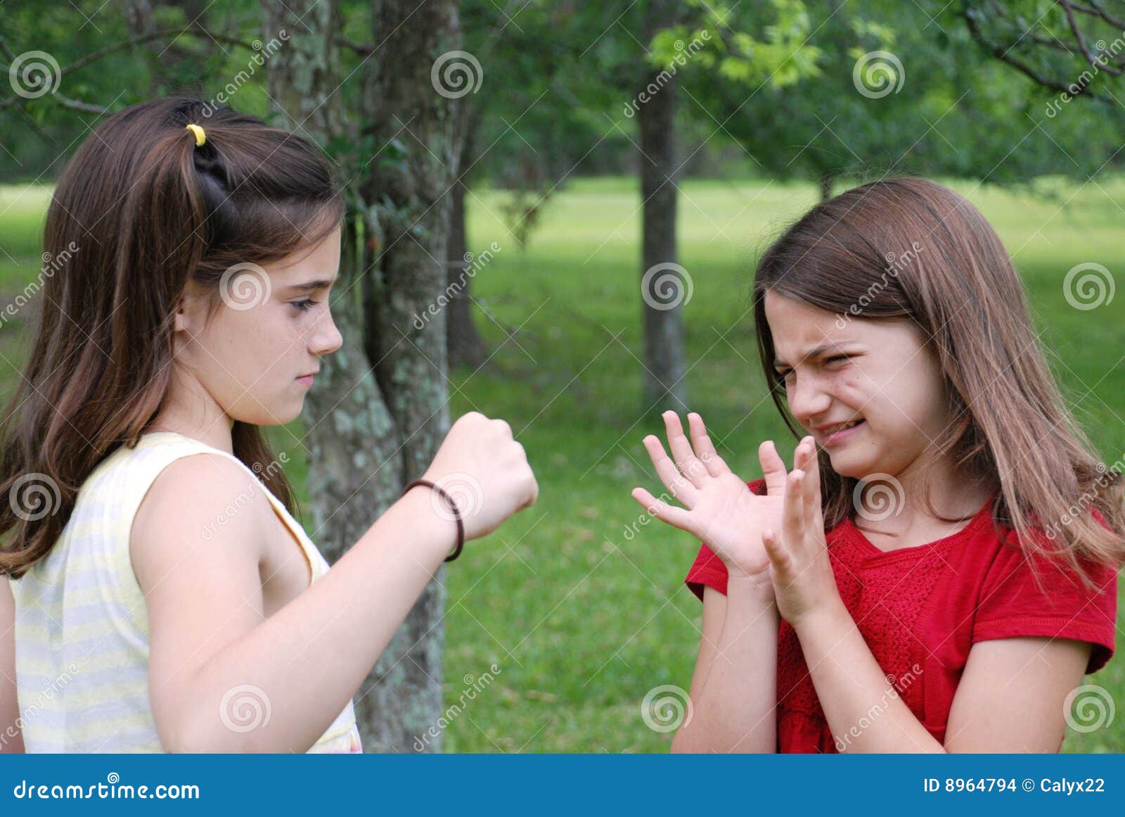 Bully stock photo. Image of vertical, school, angry, expressions - 8964794