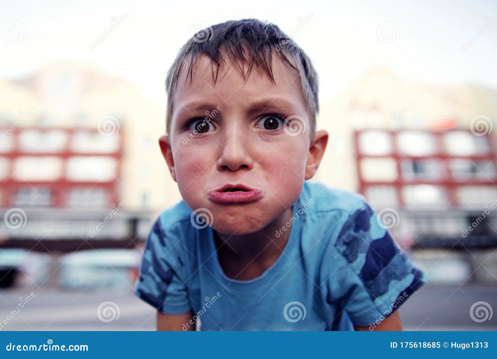 Bully Gazes Intently and Viciously at the Camera. Stock Image - Image ...