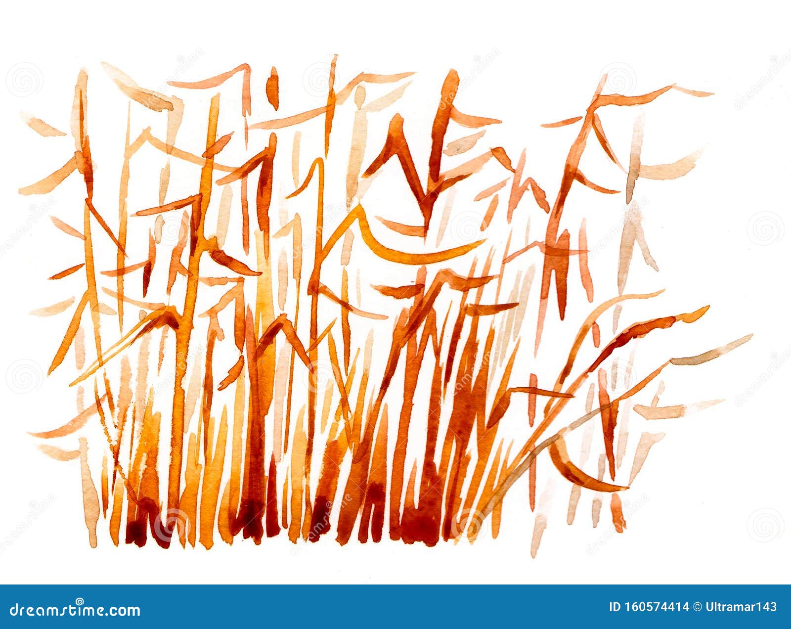 Bulrush Cartoons, Illustrations & Vector Stock Images - 2870 Pictures ...