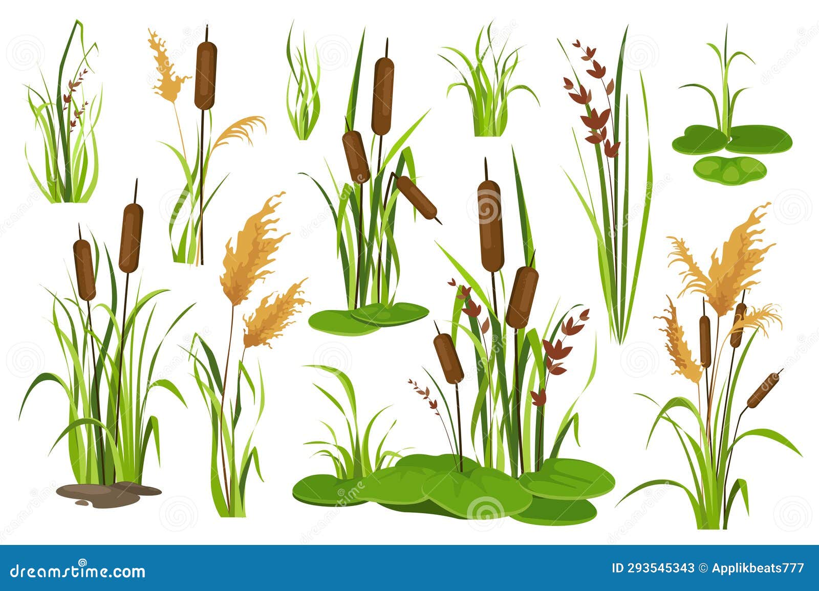 Bulrush and Water Plants Objects Mega Set in Graphic Flat Design ...