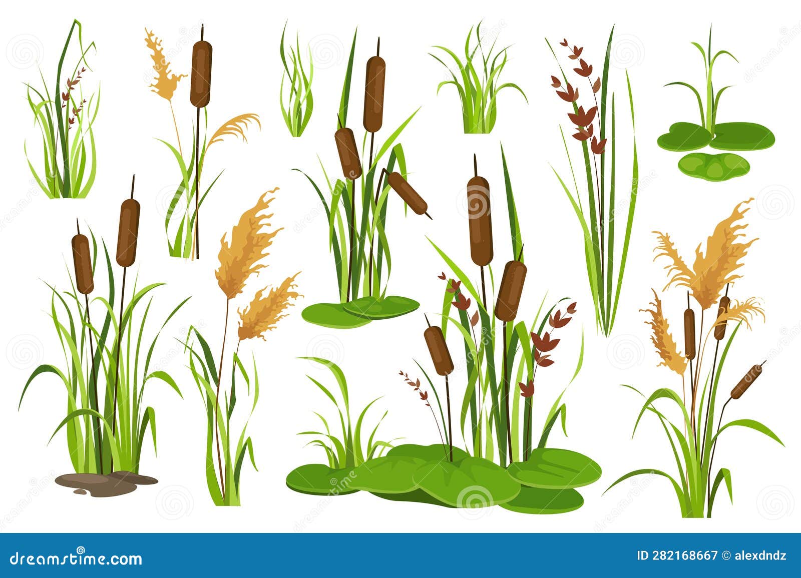 Bulrush and Water Plants Objects Mega Set in Graphic Flat Design ...