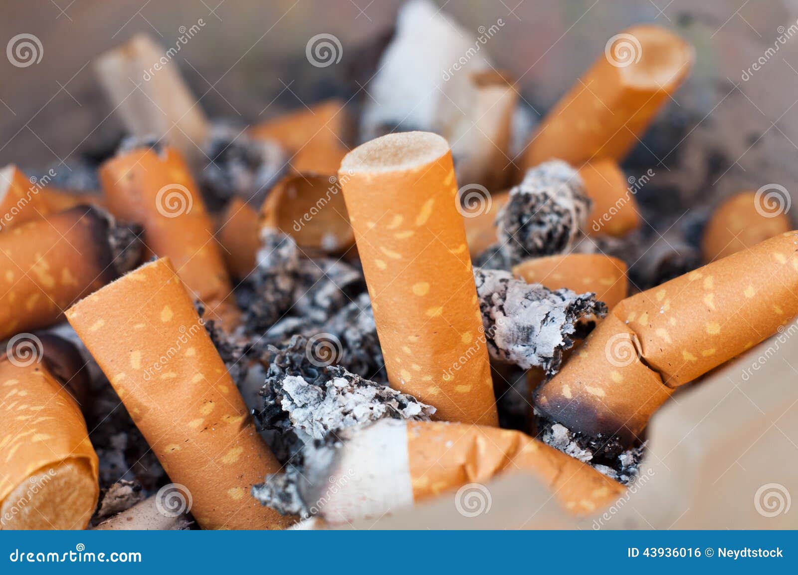 Bult of Cigarettes Background Stock Photo - Image of unhealthy, stop ...