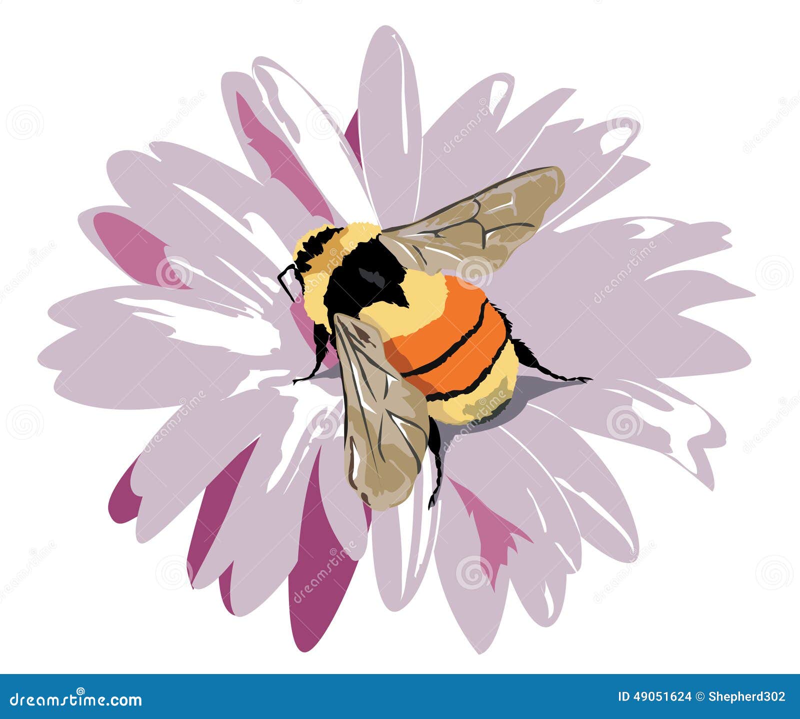 Bumble-bee on a flower stock vector. Illustration of animals - 49051624
