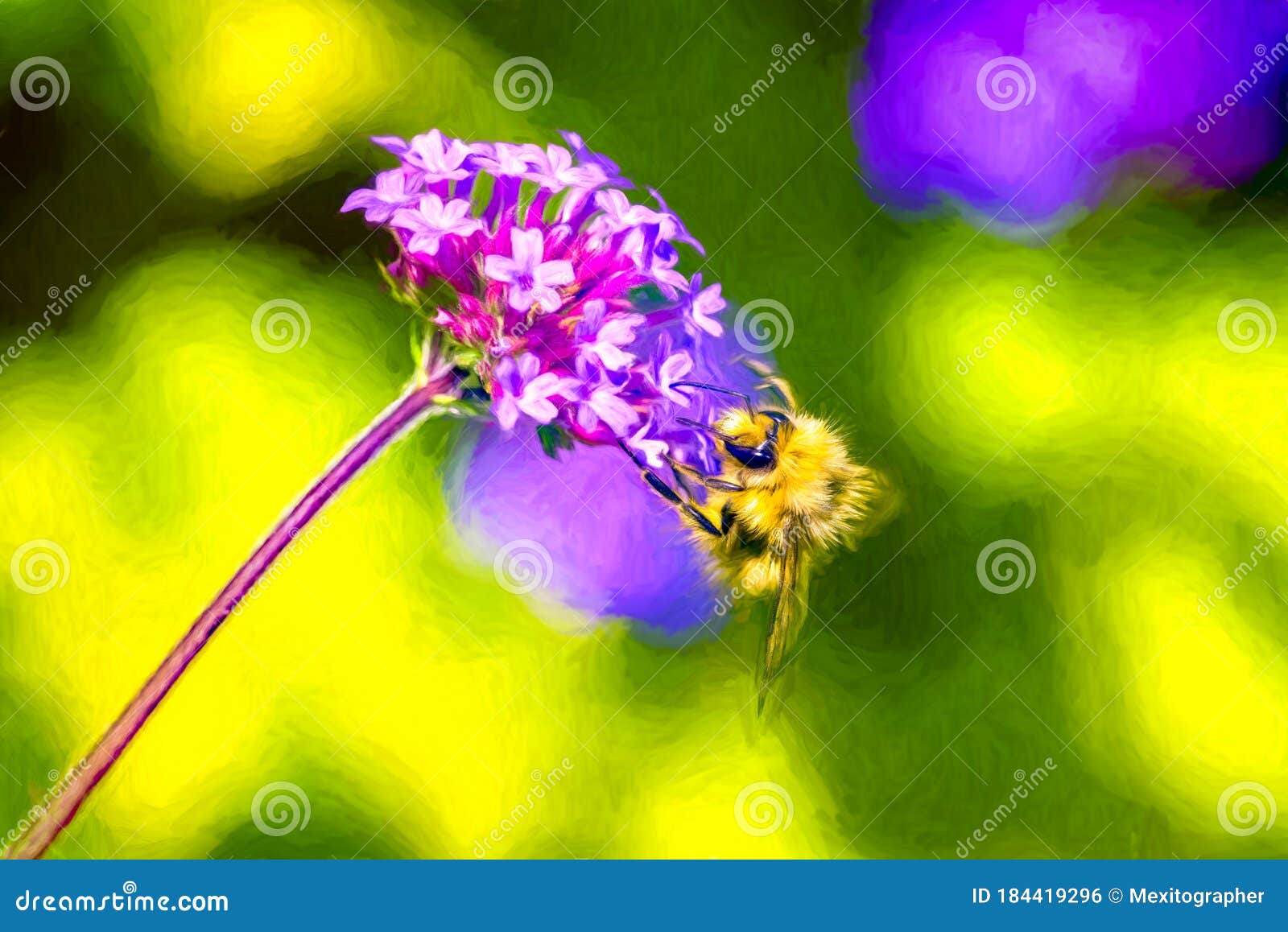 Bumble Bee Pollination stock photo. Image of flora, detail - 184419296