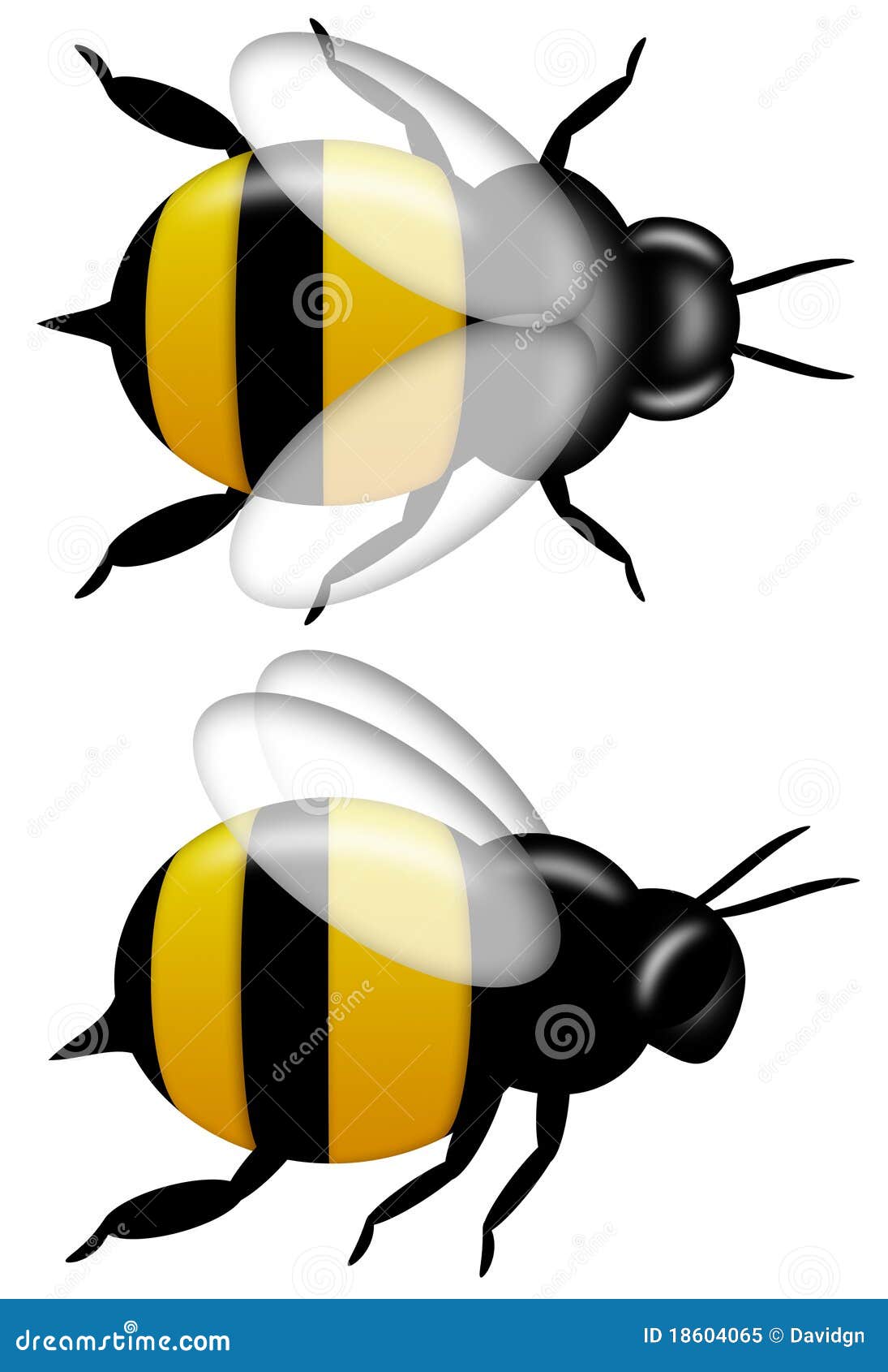 Bee Side View Isolated White Background Stock Illustrations – 82 Bee ...