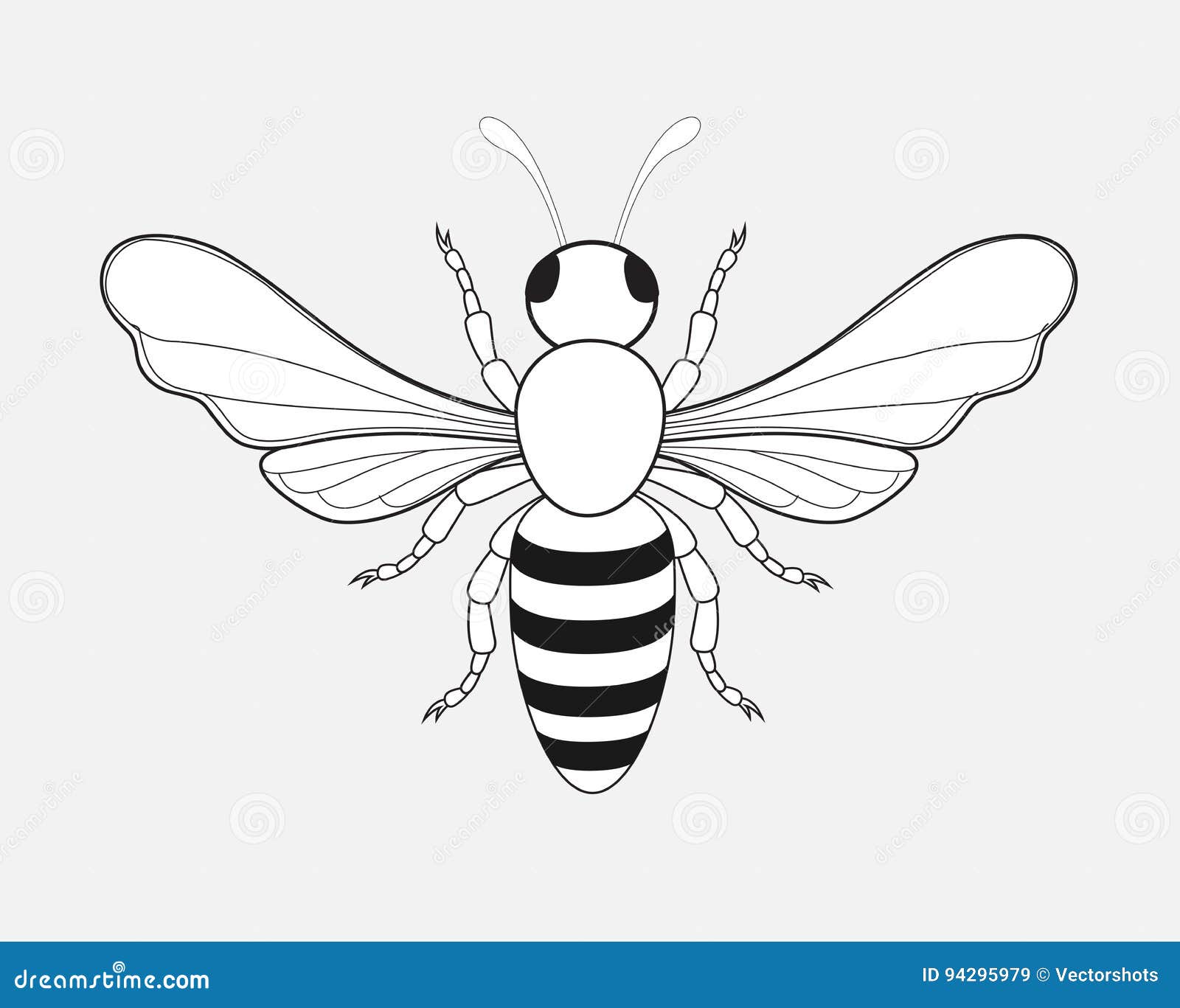 Bumblebee Drawing Cartoon Vector | CartoonDealer.com #94295979