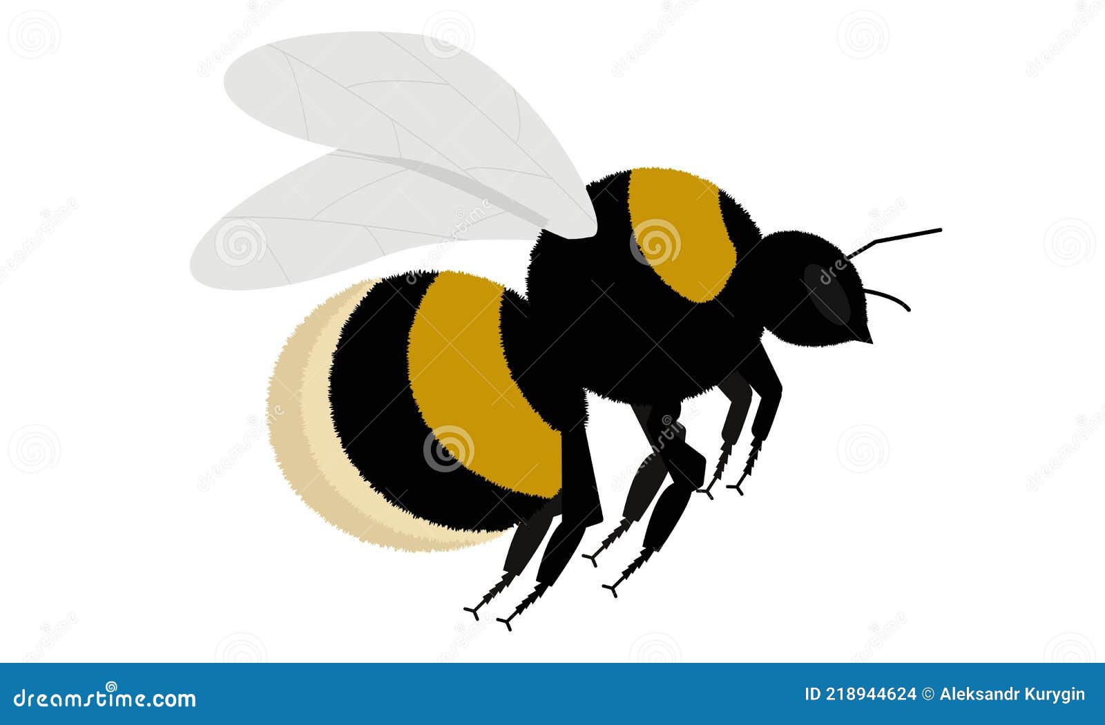 Bumblebee In Flight, Vector Illustration On Black Background. Hand ...