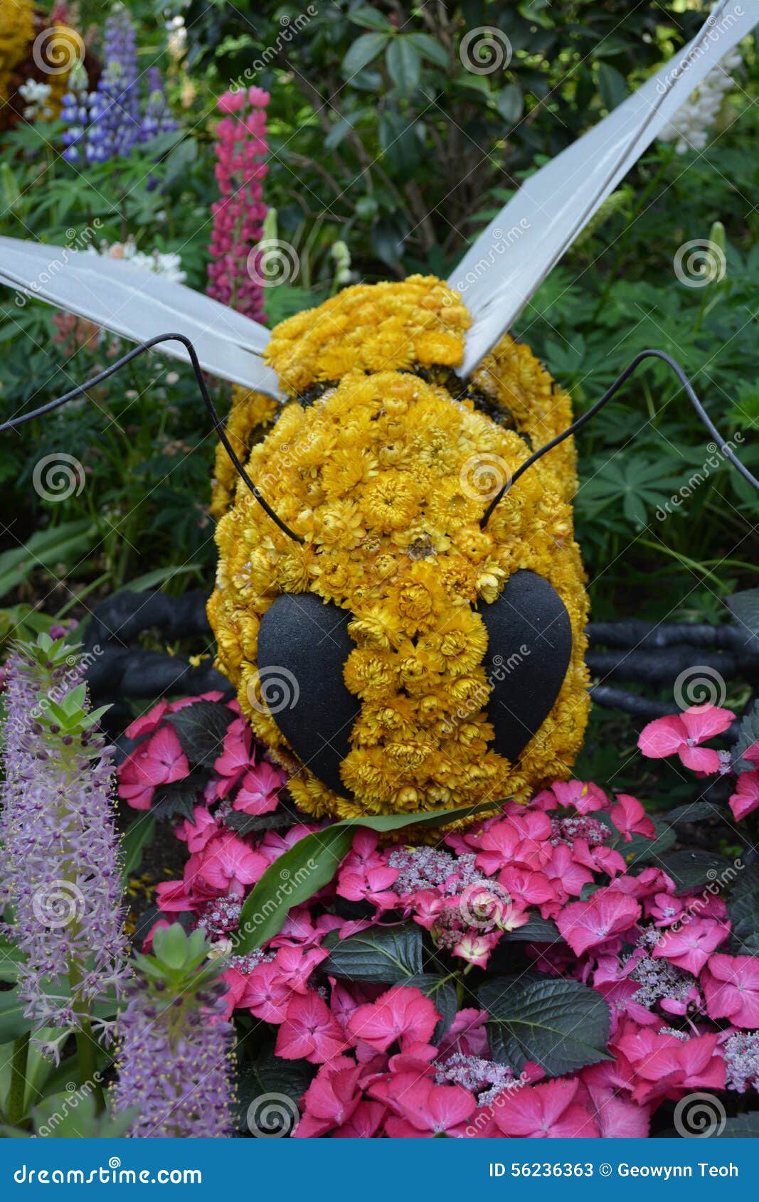 Bumblebee On A Flower In The Garden Stock Photography | CartoonDealer ...