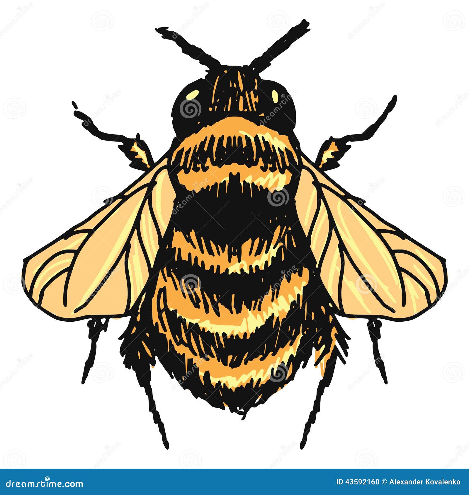 Bumblebee stock vector. Illustration of design, insect - 43592160
