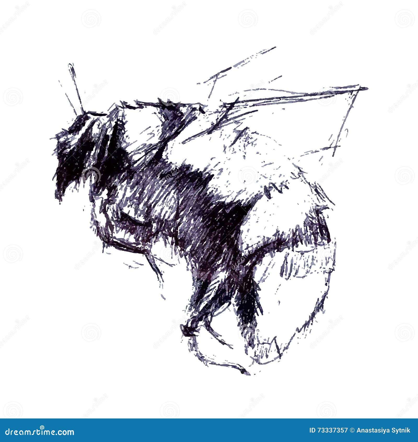 Bumblebee Vintage Engraved Illustration. Hand Drawing Vector Expand ...