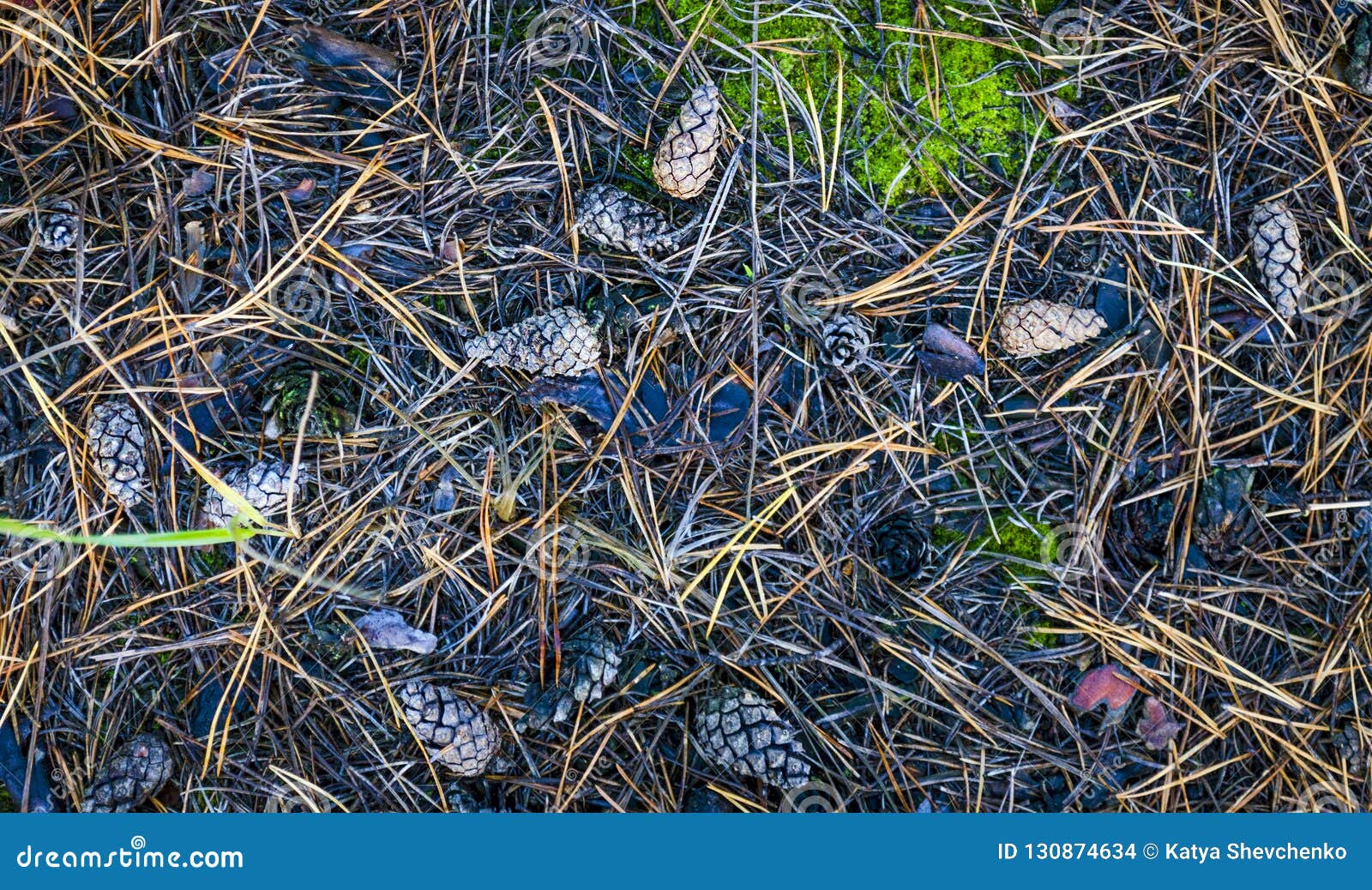 Bumps on the ground stock photo. Image of abstract, pattern - 130874634