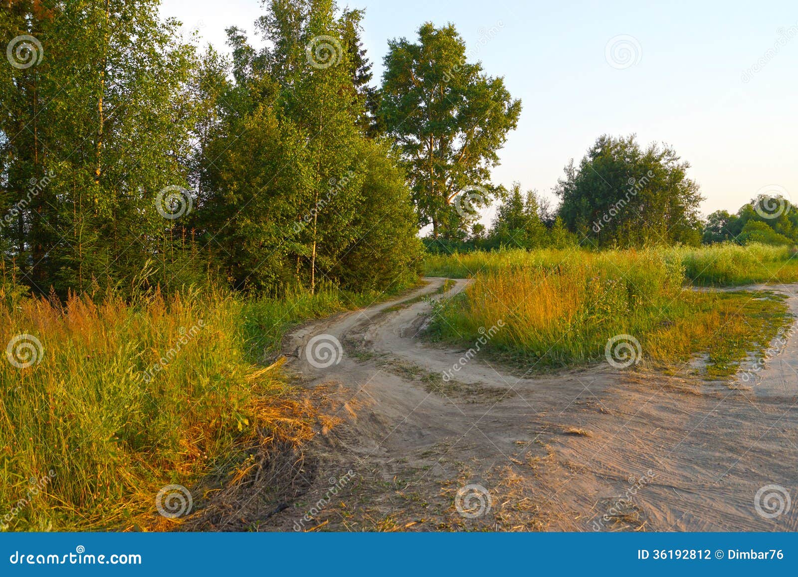 Bumpy Country Road Leading into the Forest Stock Photo - Image of ...