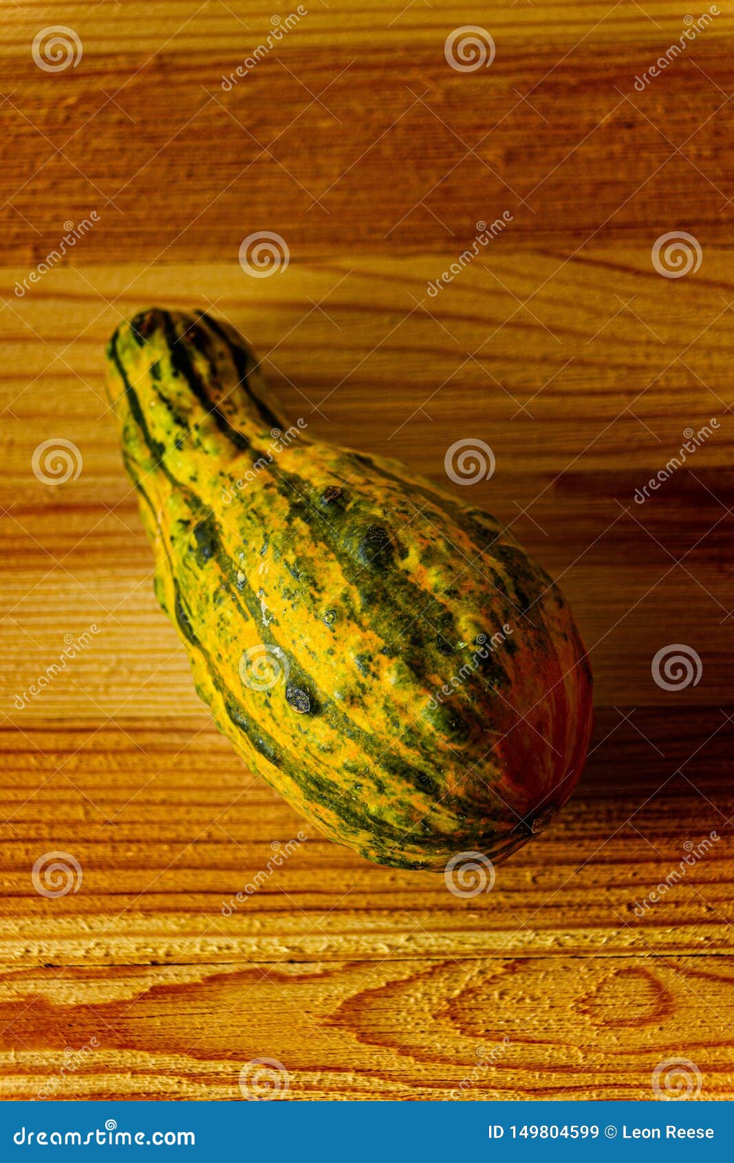 A Bumpy Green and Gold Squash Vegetable Lies on a Wooden Table. Stock ...