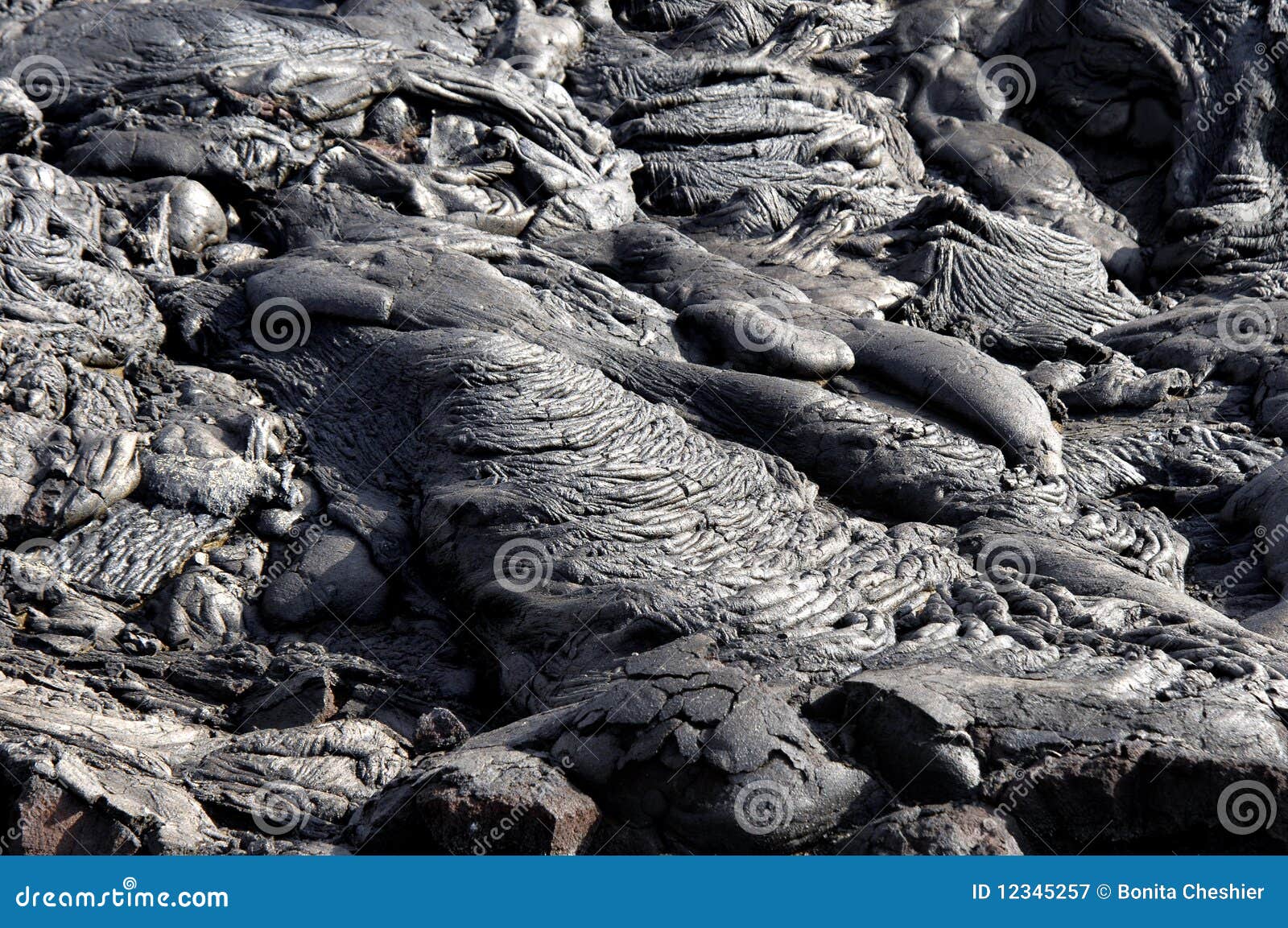 Bumpy Lumpy Lava stock image. Image of folds, tropical - 12345257