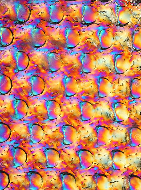 Bumpy Pattern in Plastic Wrap Stock Image - Image of bumpy, pattern ...