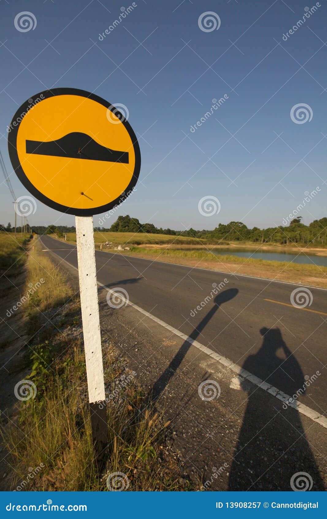 The bumpy ride. stock image. Image of forest, driving - 13908257