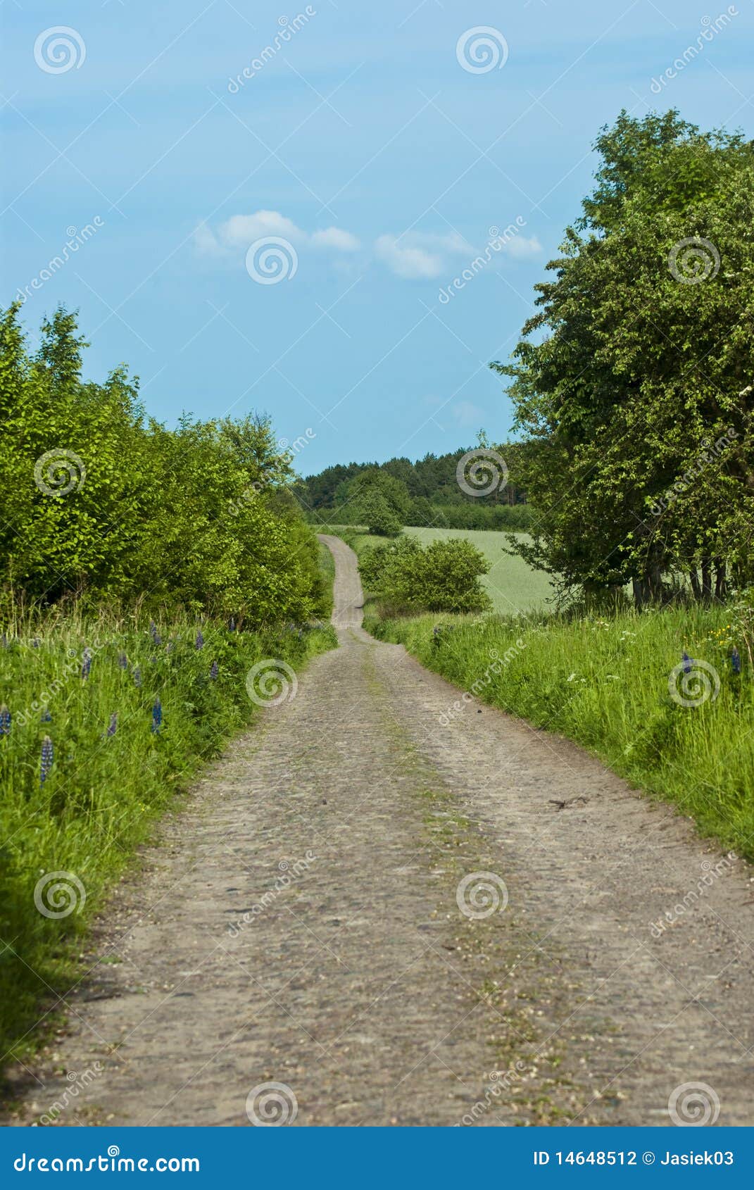 Bumpy road stock photo. Image of black, rock, abstract - 14648512