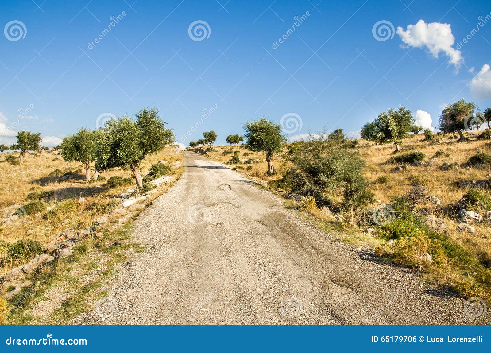 Bumpy Road In Puglia Countryside - Gargano Stock Photography ...