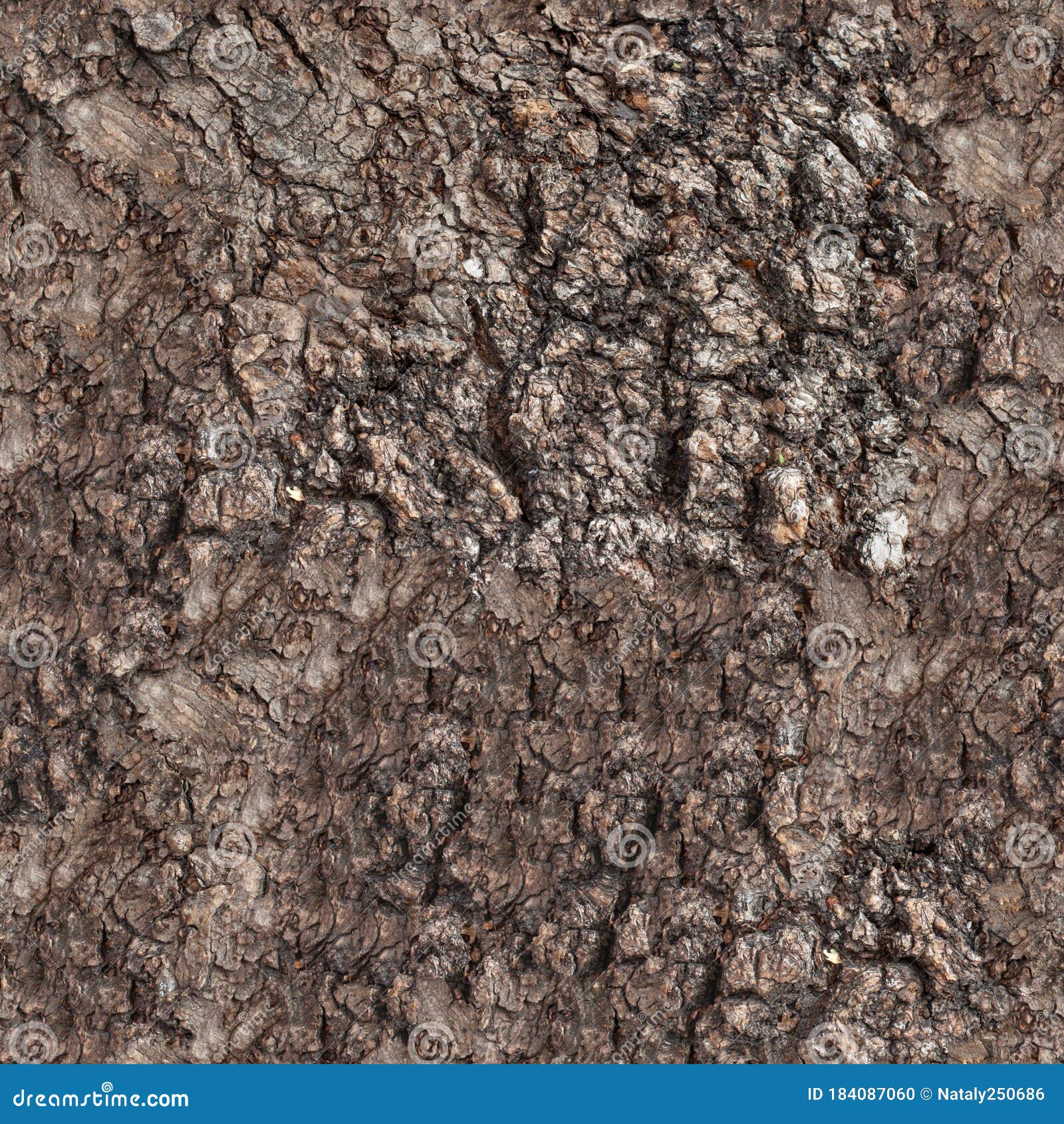 Bumpy Seamless Wooden Pattern Texture Square Form Macro Stock Photo ...