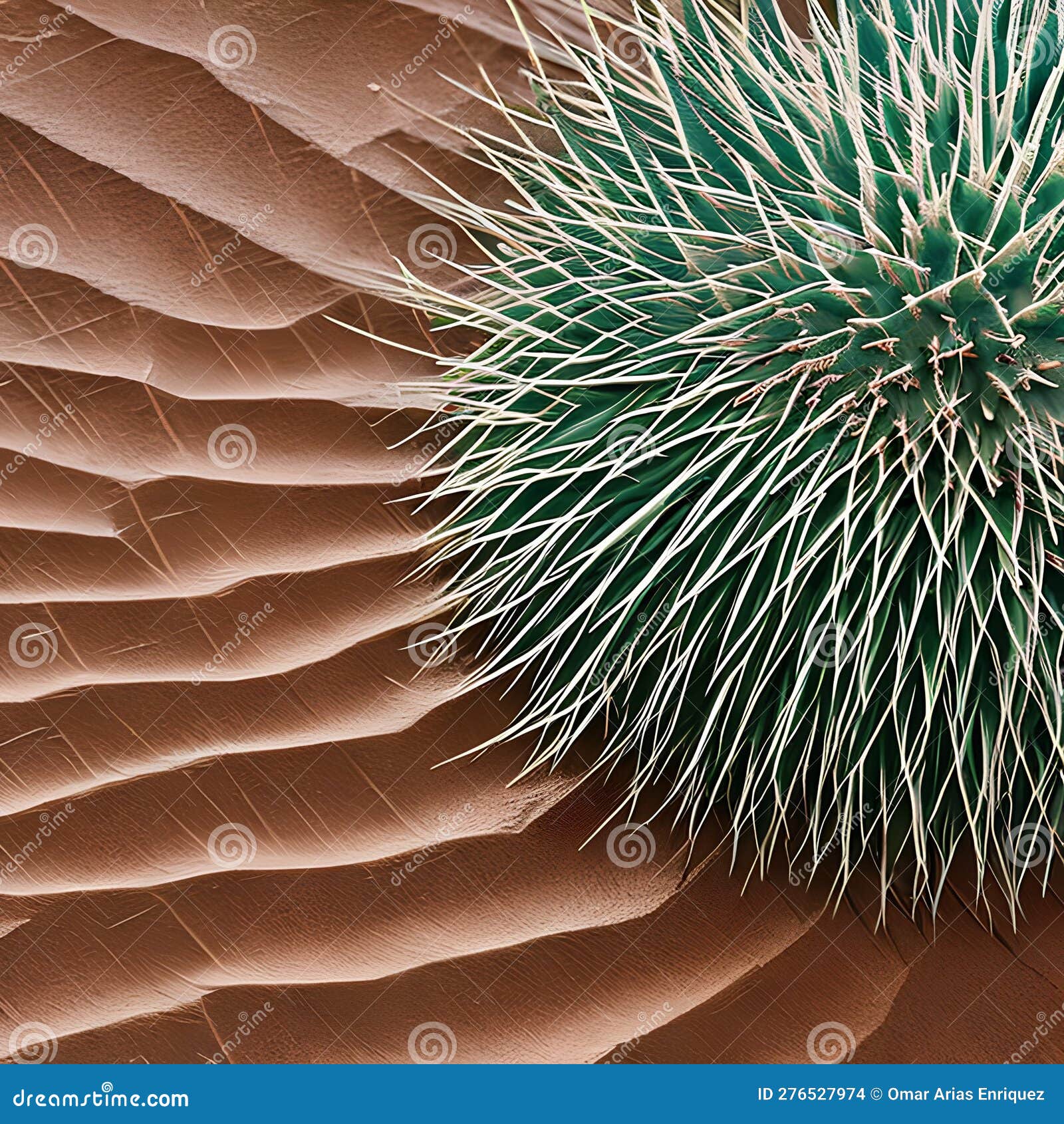 A Bumpy and Spiky Texture with Cactus Needles and Desert Sand1, Generative AI Stock Illustration ...