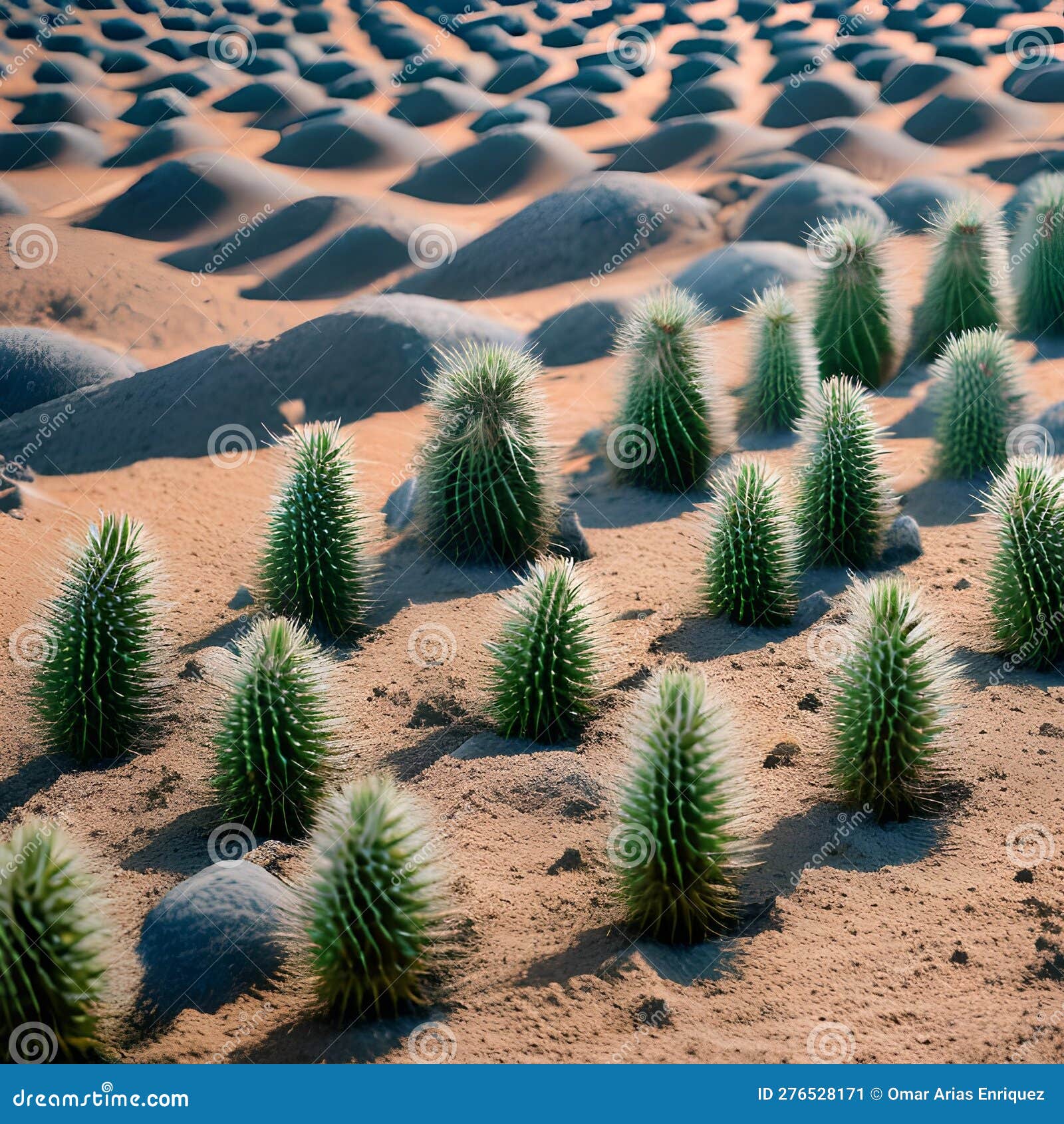 A Bumpy and Spiky Texture with Cactus Needles and Desert Sand2, Generative AI Stock Illustration ...