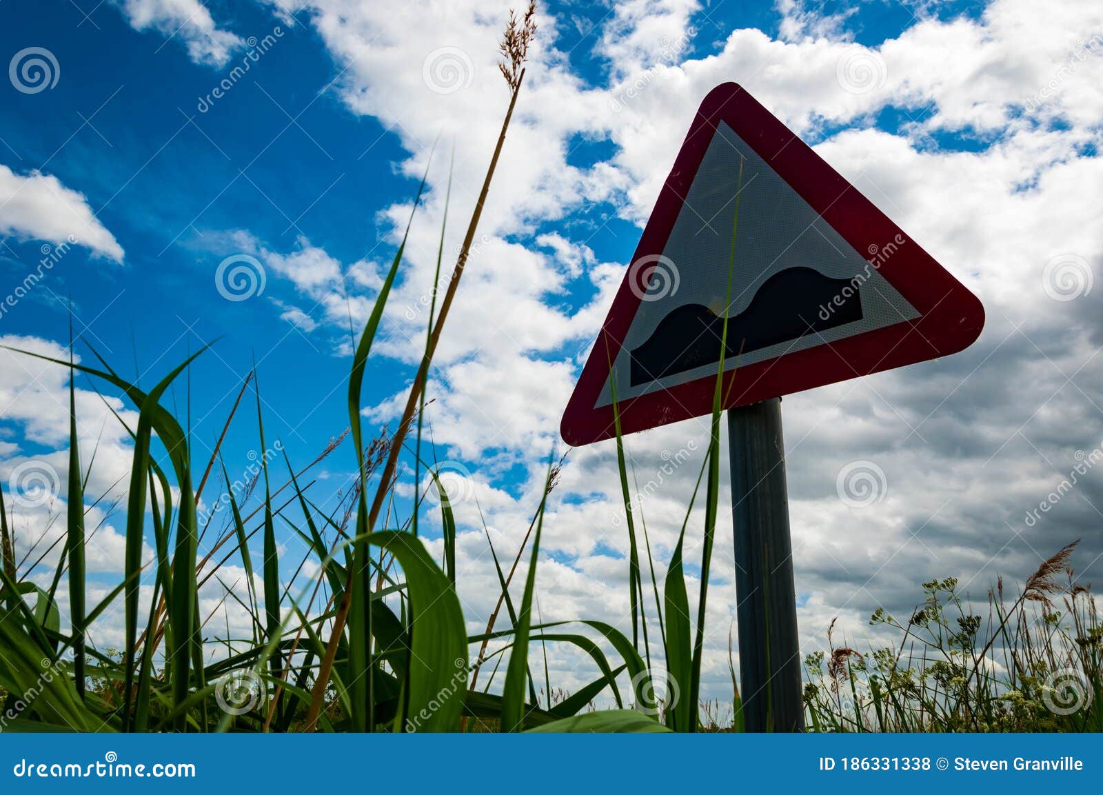 Bumpy Times Ahead for the Environment Stock Photo - Image of leaf ...