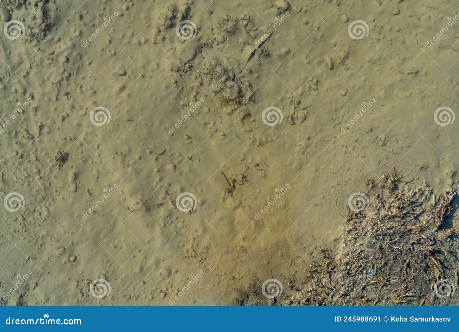 A Bumpy Wet Gravel Road after the Rain Stock Image - Image of ...
