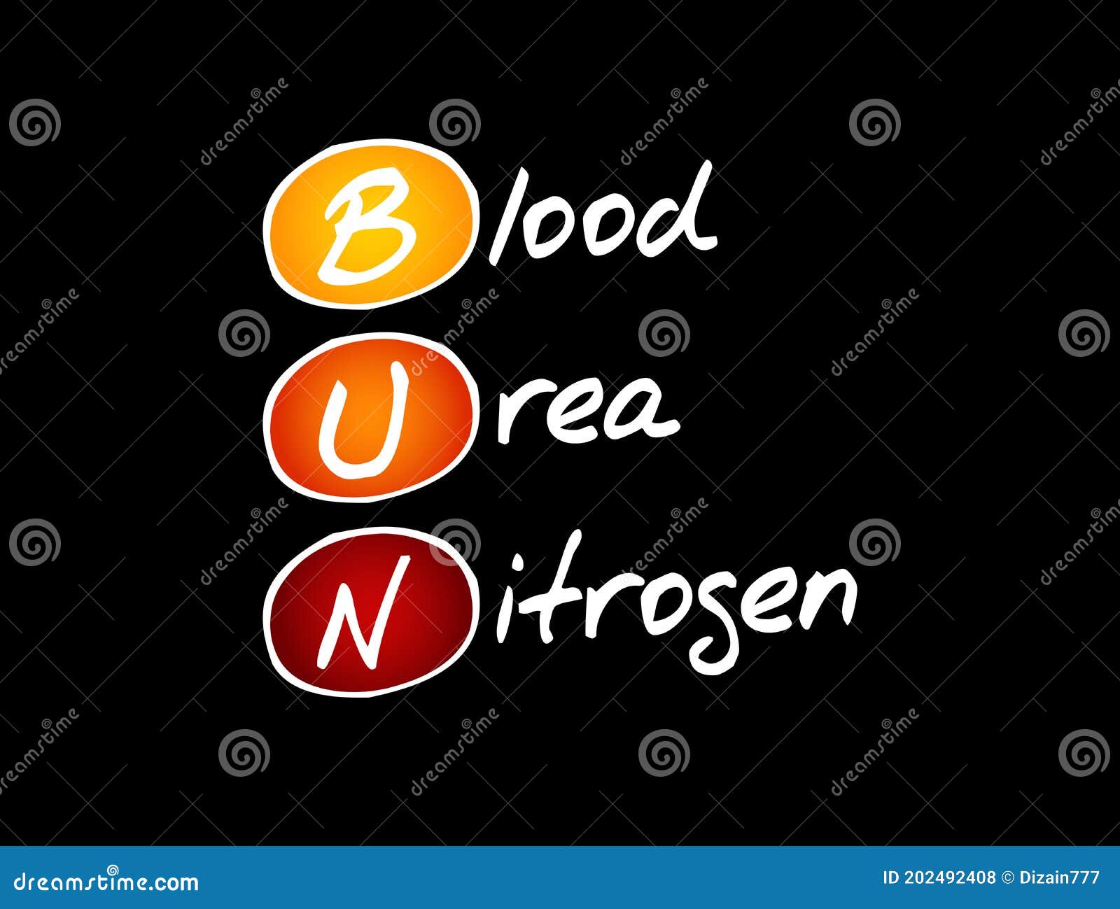 BUN - Blood Urea Nitrogen Acronym, Medical Concept Background Stock ...