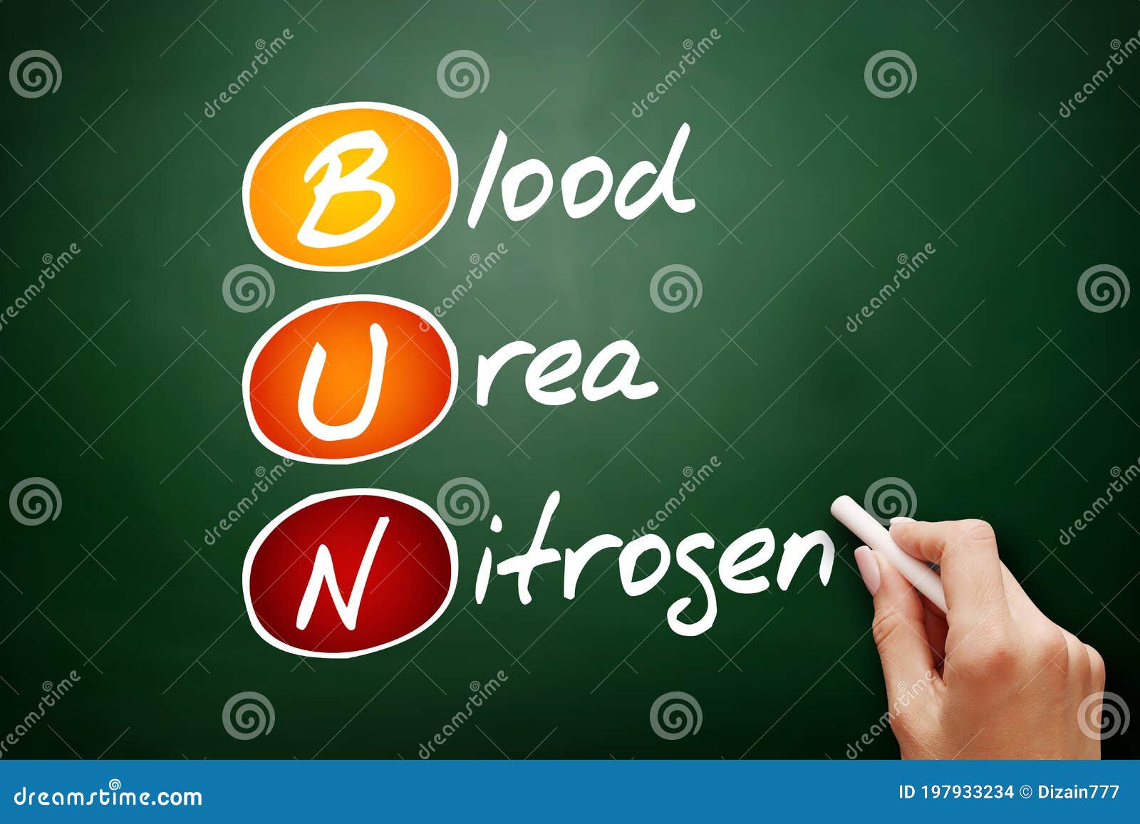 BUN - Blood Urea Nitrogen Acronym, Concept On Blackboard Stock Image ...