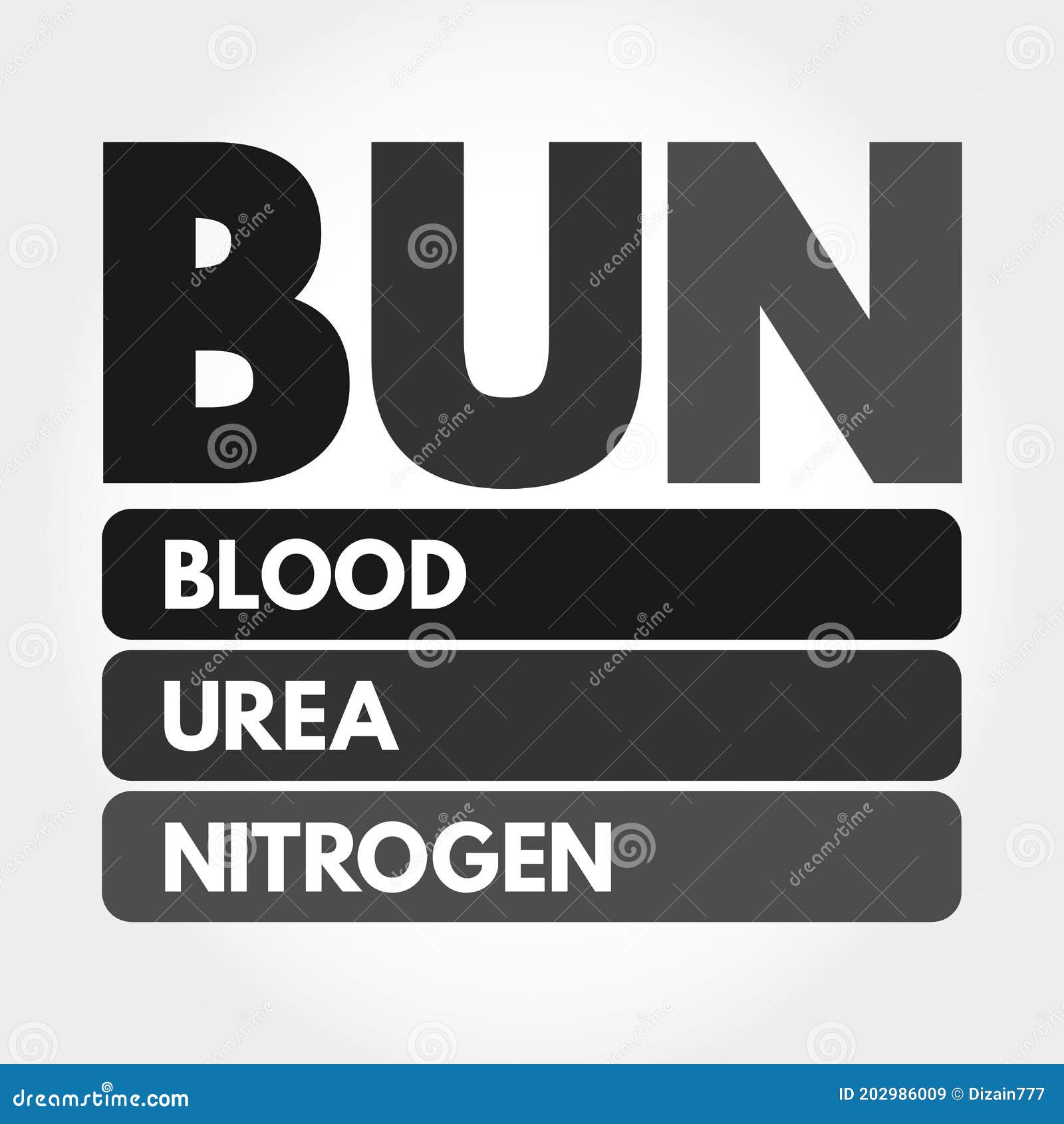 BUN - Blood Urea Nitrogen Acronym, Medical Concept Background Stock ...