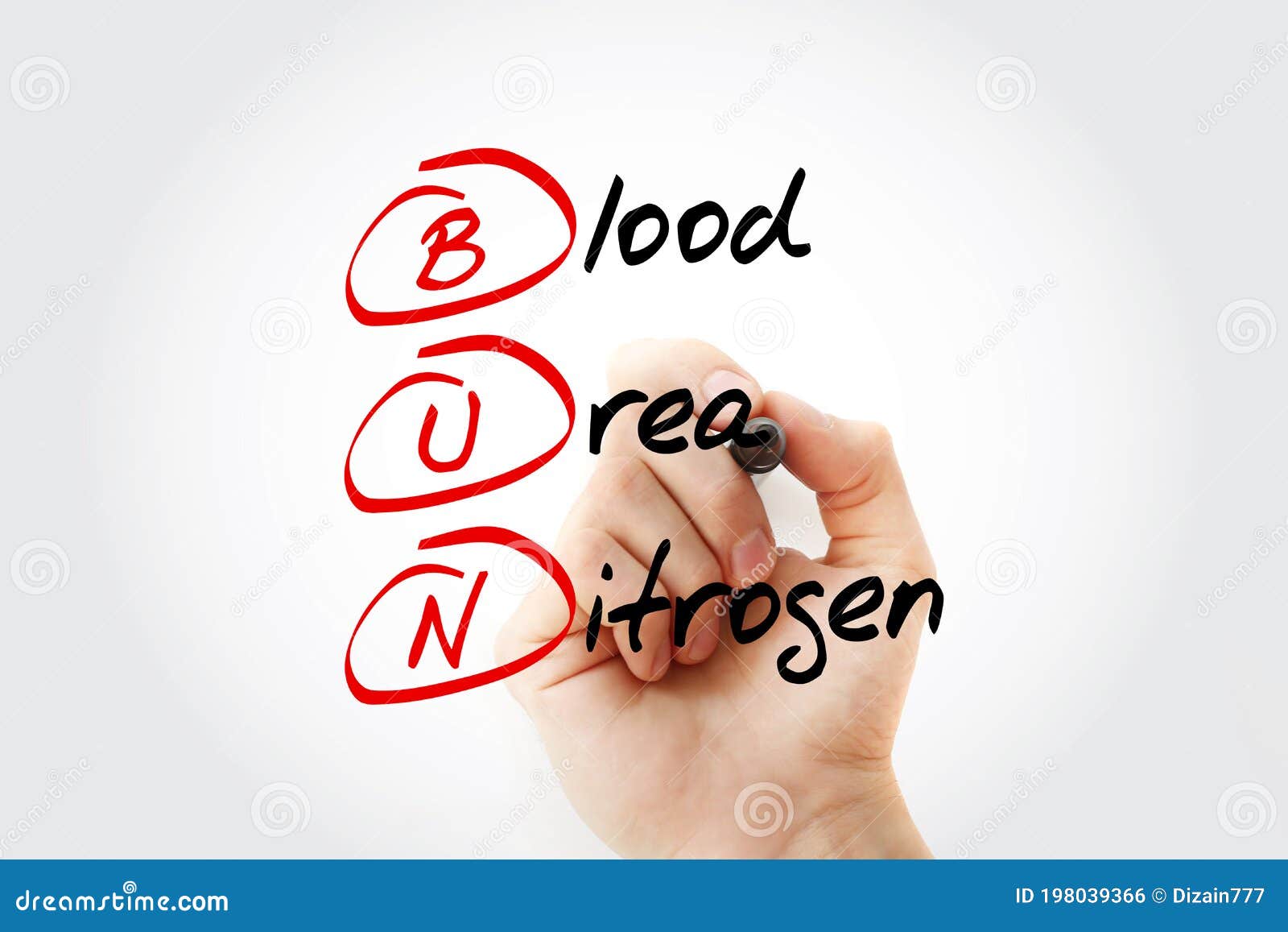 BUN - Blood Urea Nitrogen Acronym, Concept On Blackboard Stock Image ...