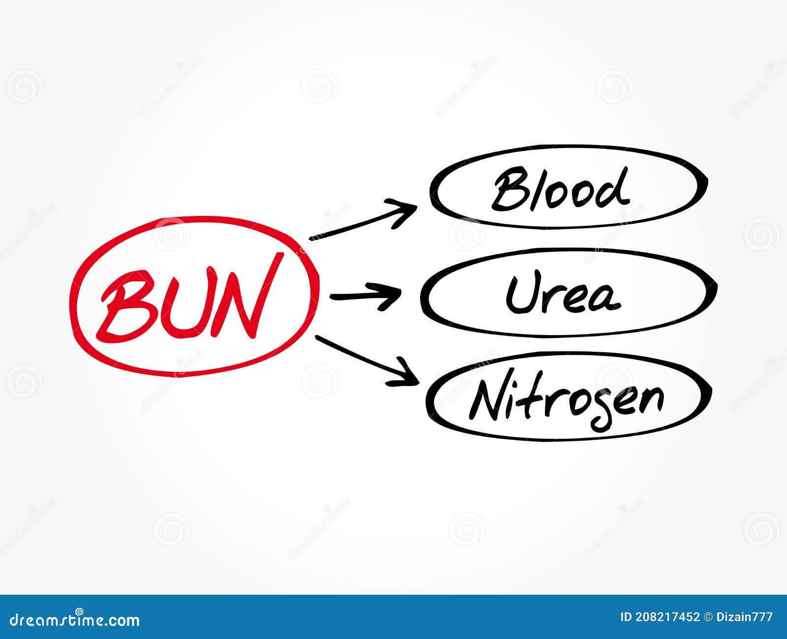 BUN - Blood Urea Nitrogen Acronym Stock Illustration - Illustration of ...