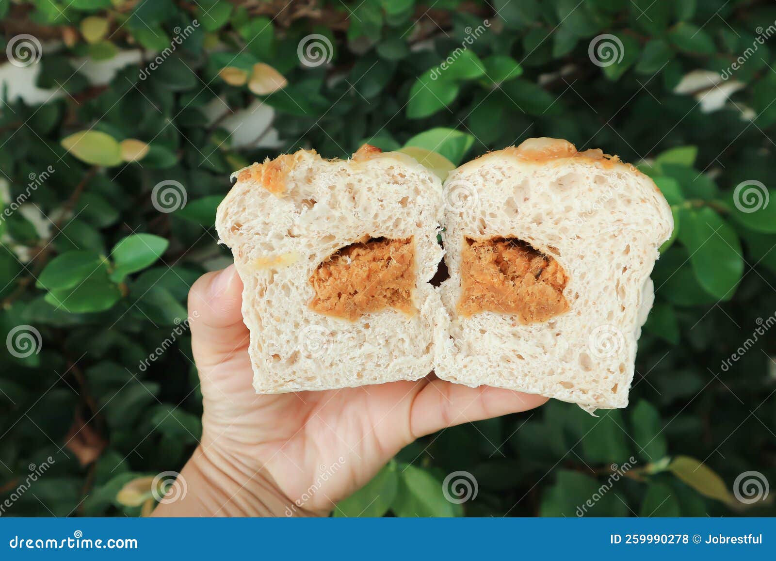 Bun or Bread with Pork Stuffed or Dried Pork Bread, Dried Shredded Pork ...