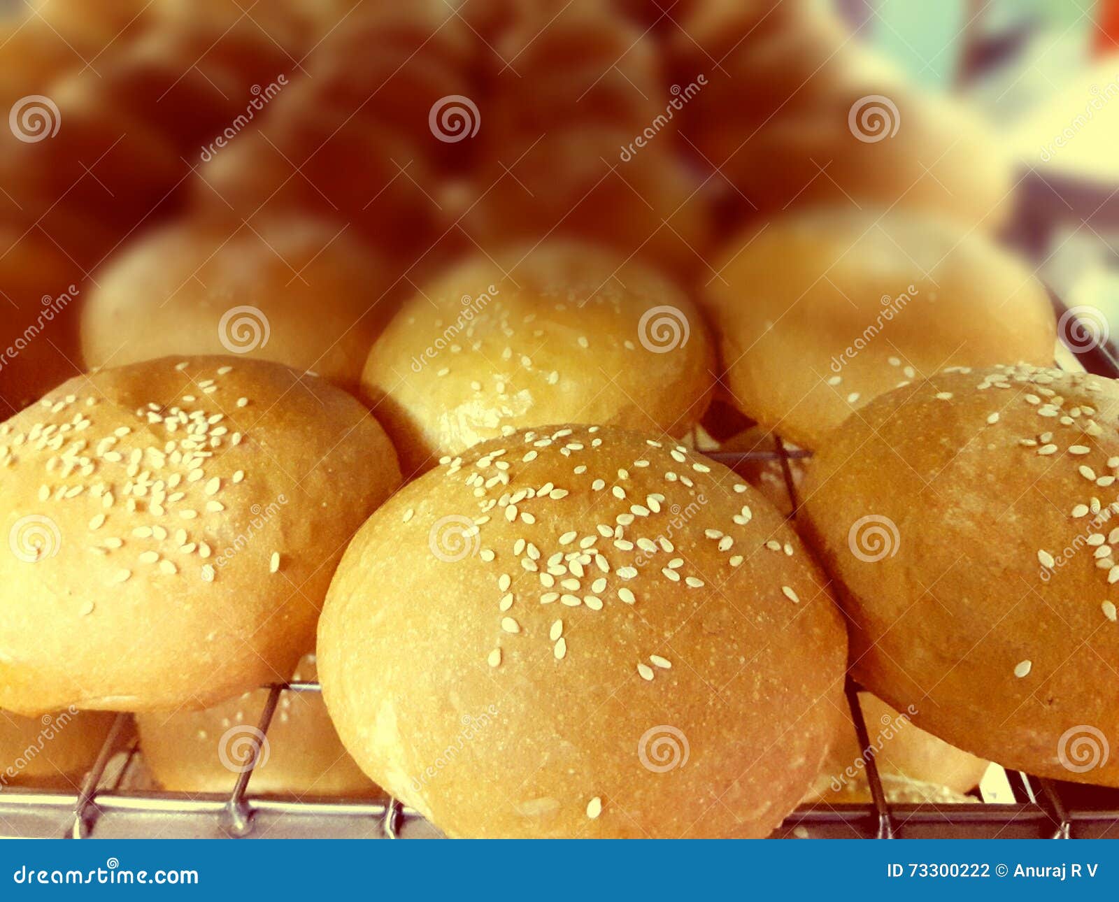 Bun factory stock photo. Image of factory, cabin, ernakulam - 73300222