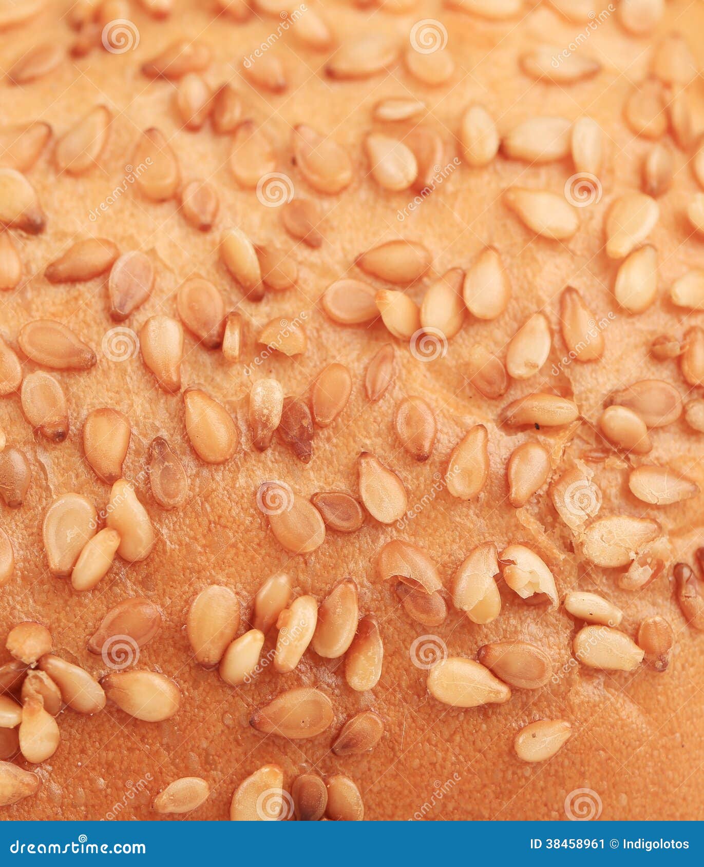 Bun with sesame seeds. stock image. Image of flour, object - 38458961