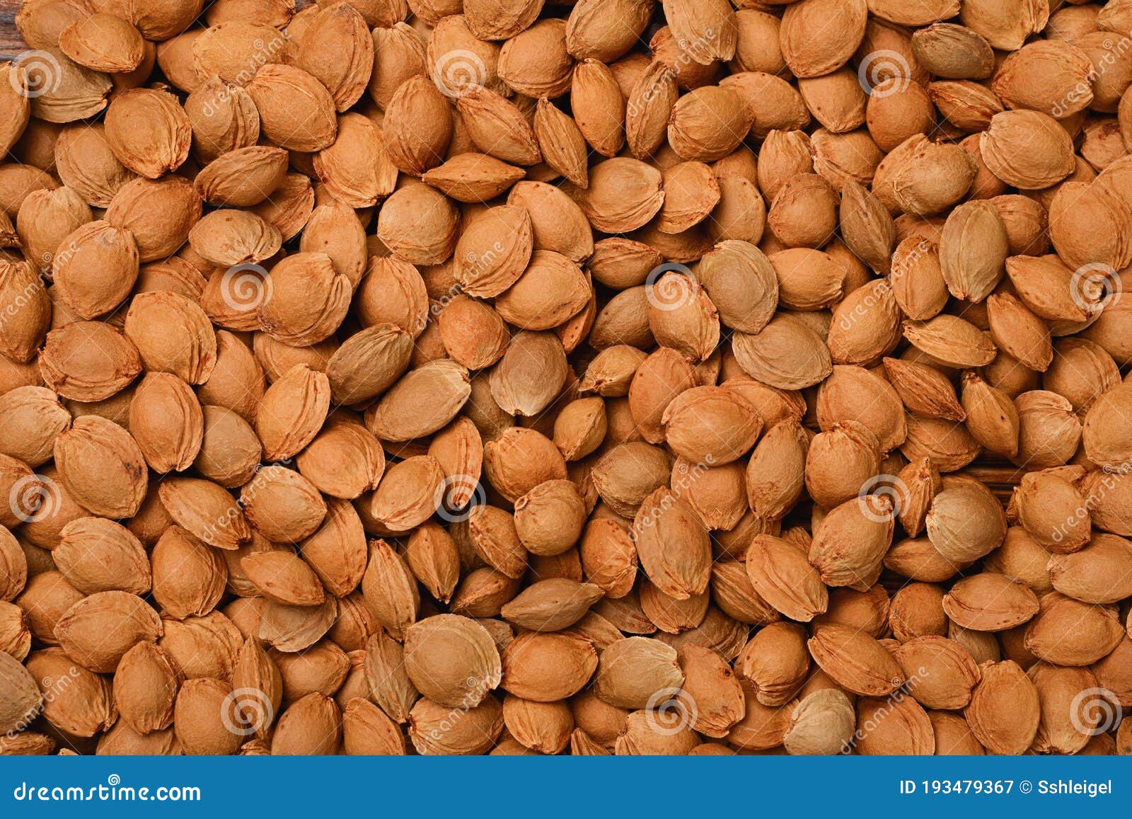 A Bunch of Apricot Pits Forming a Pattern Stock Image - Image of ...