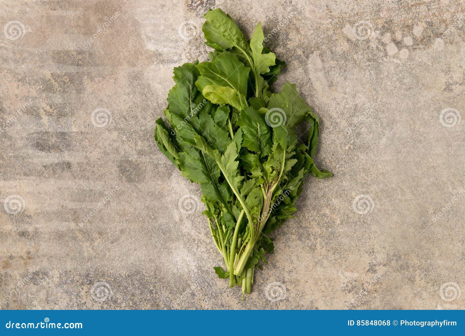 Bunch of Arugula Leaves and Stalks Stock Photo - Image of vegetarian ...