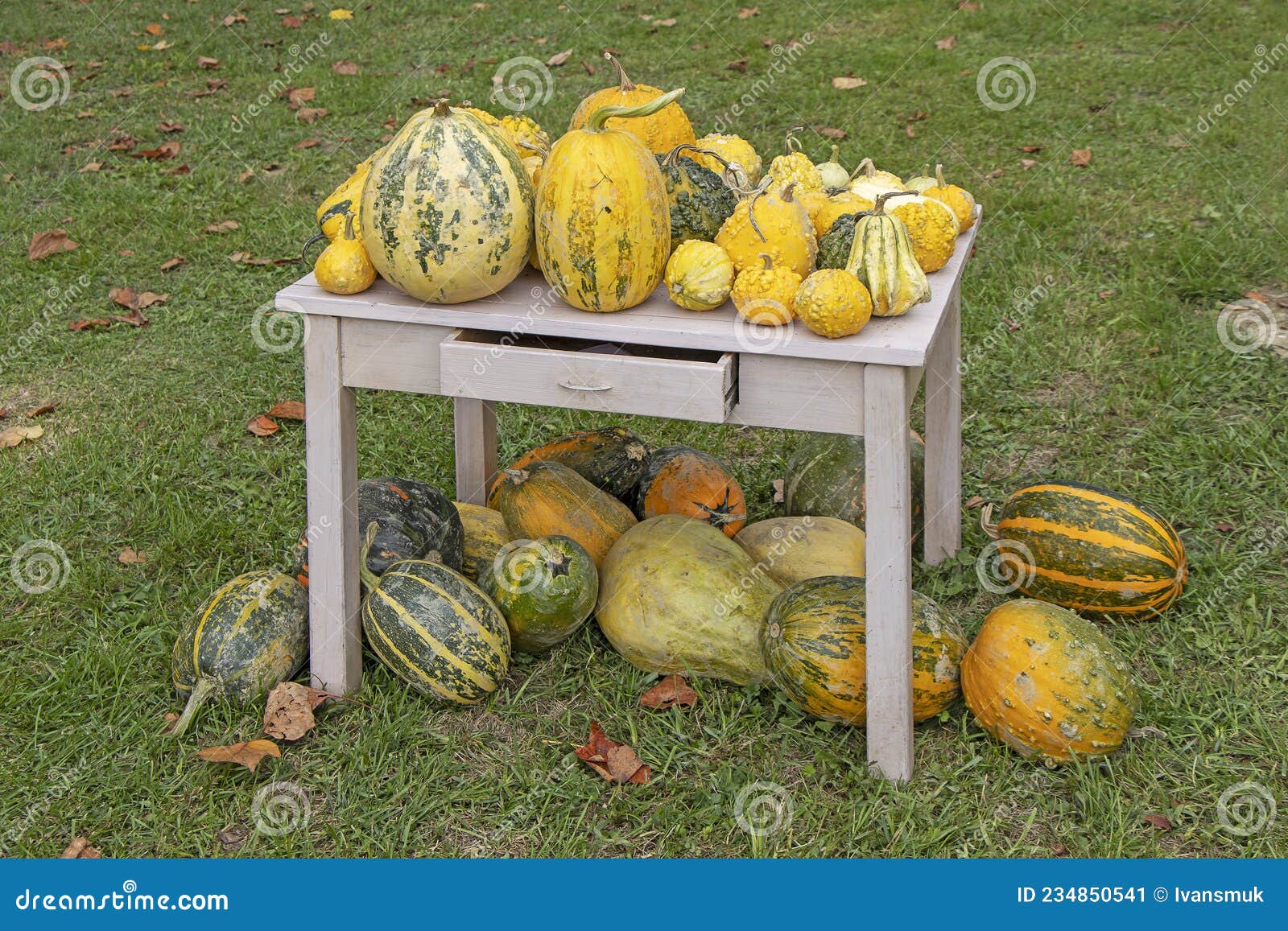 Bunch Assorted Gourds, Zucchini, Pumpkin and Winter Squash Stock Image ...