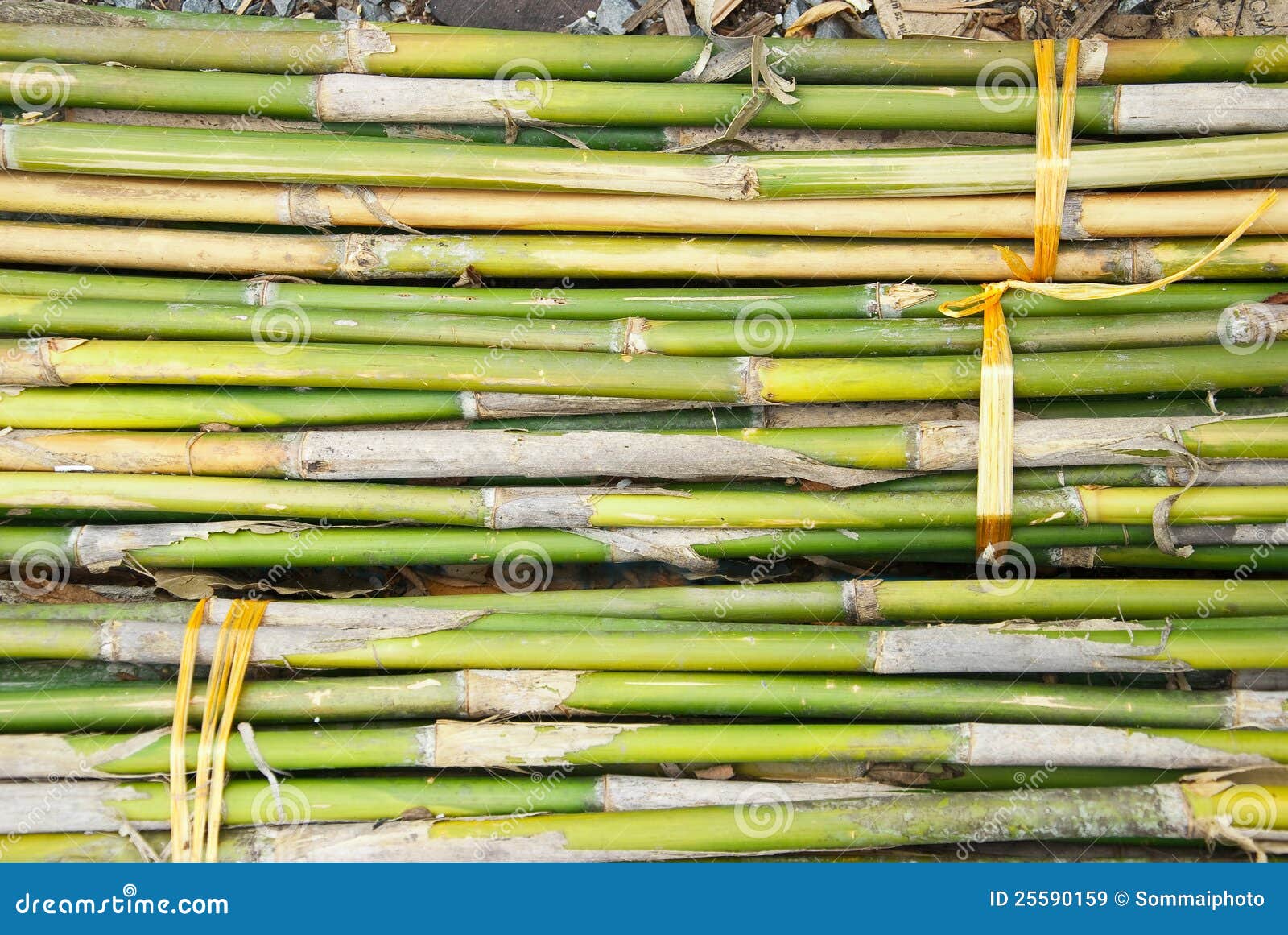 Bunch of bamboo stock image. Image of thailand, bundle - 25590159