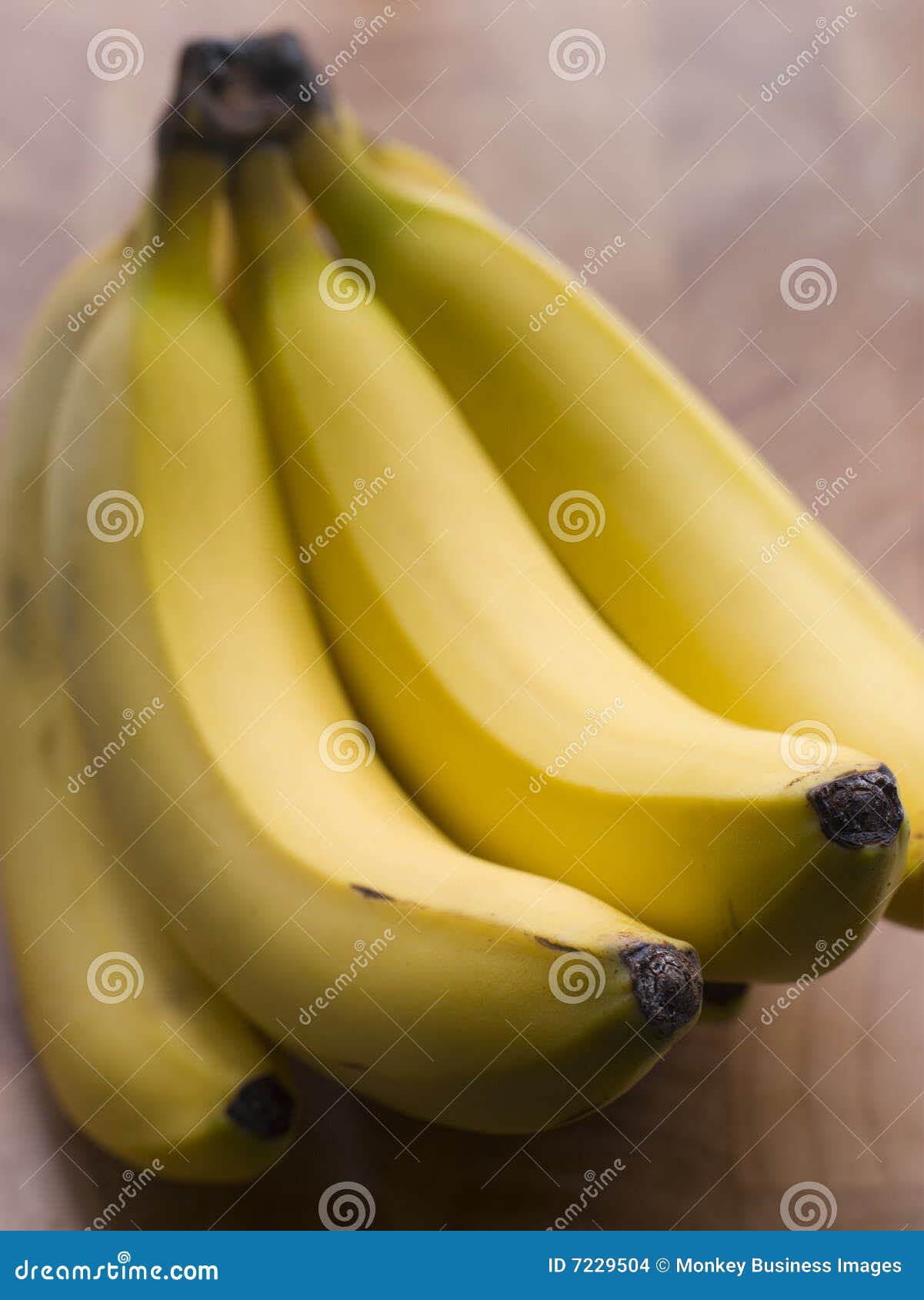 Bunch of Bananas stock photo. Image of studio, nature - 7229504