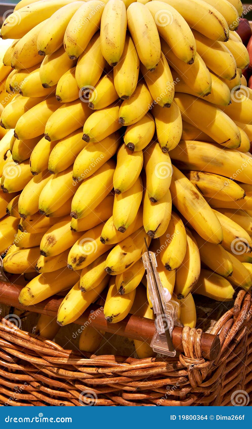 Bunch of bananas in basket stock photo. Image of fruit - 19800364