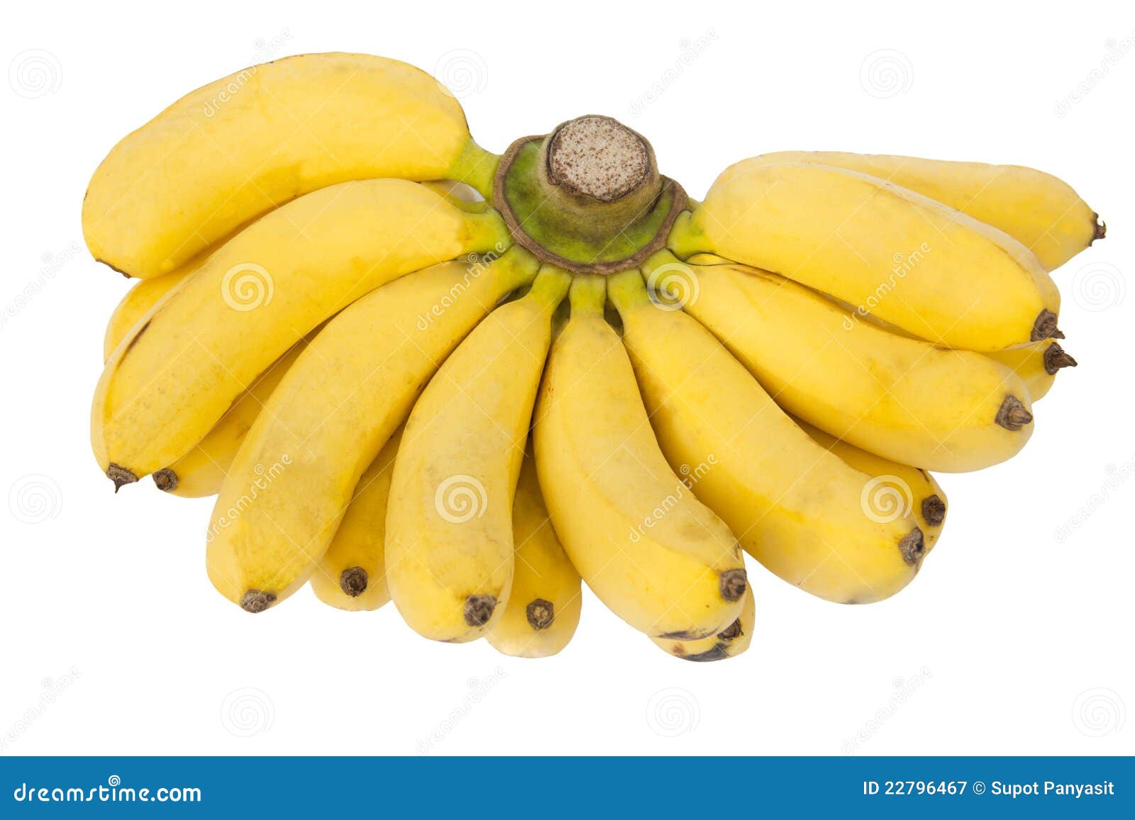 Bunch of bananas, isolated stock image. Image of peel - 22796467