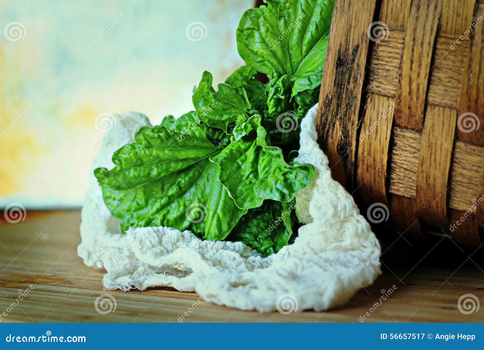 Bunch of basil in basket stock image. Image of farm, italian - 56657517