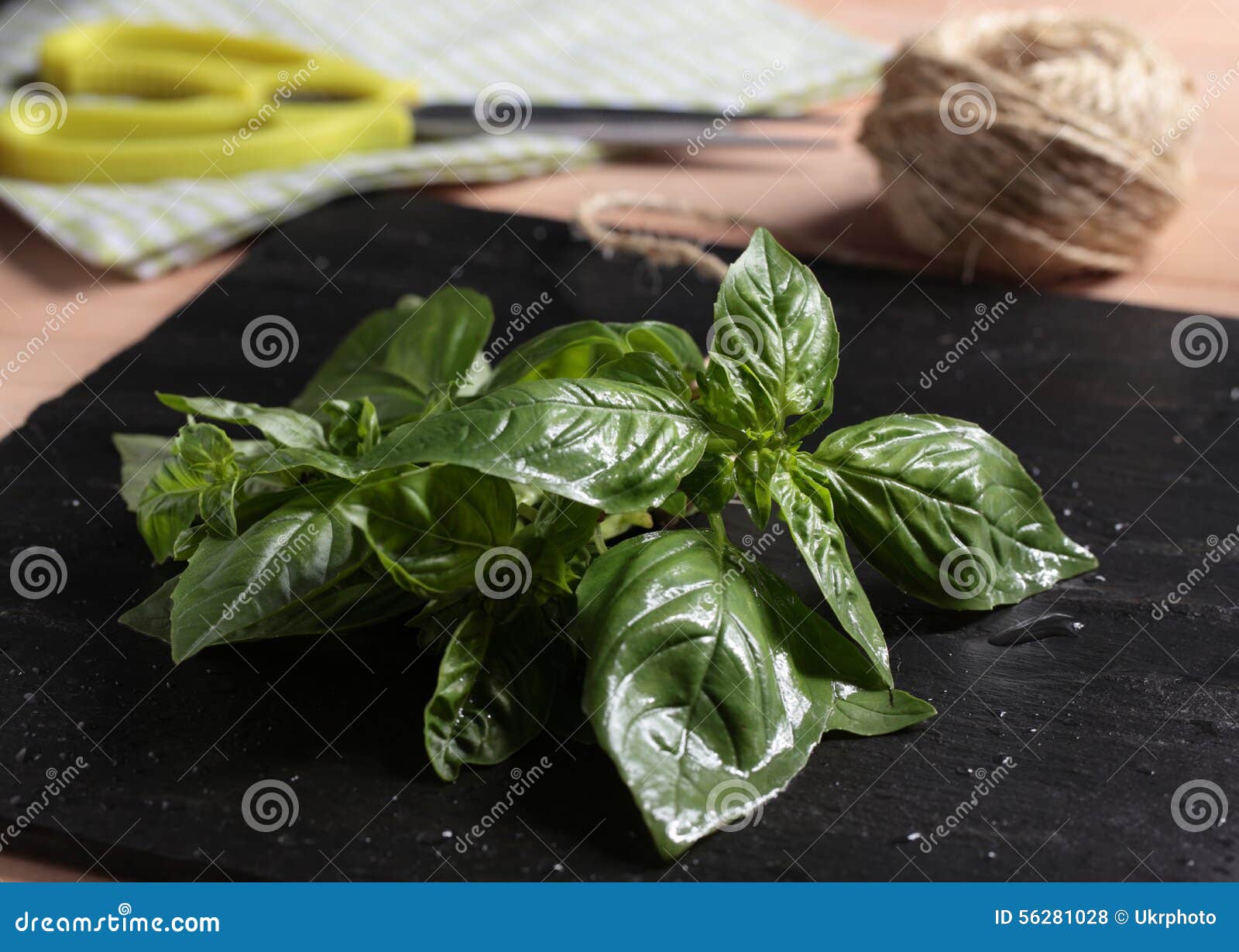 Bunch of basil stock photo. Image of surface, bunch, closeup - 56281028